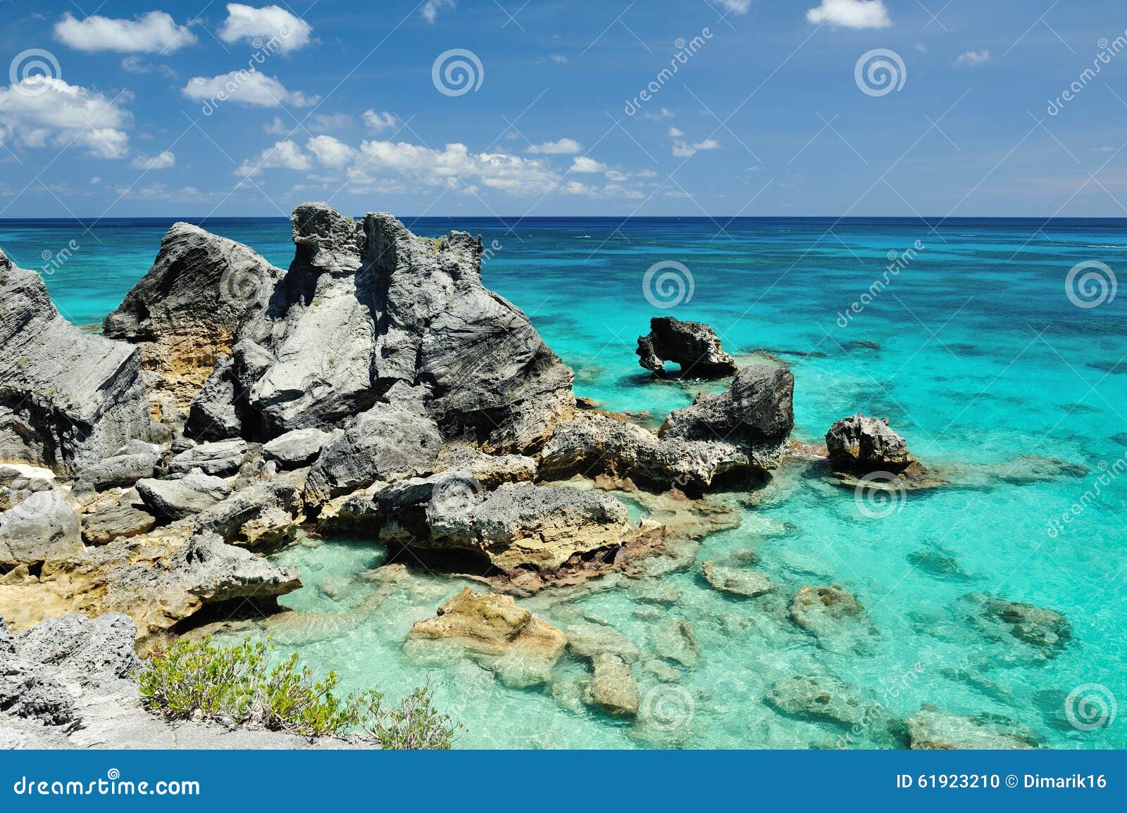 Reefs stock photo. Image of island, snorkling, bermuda - 61923210