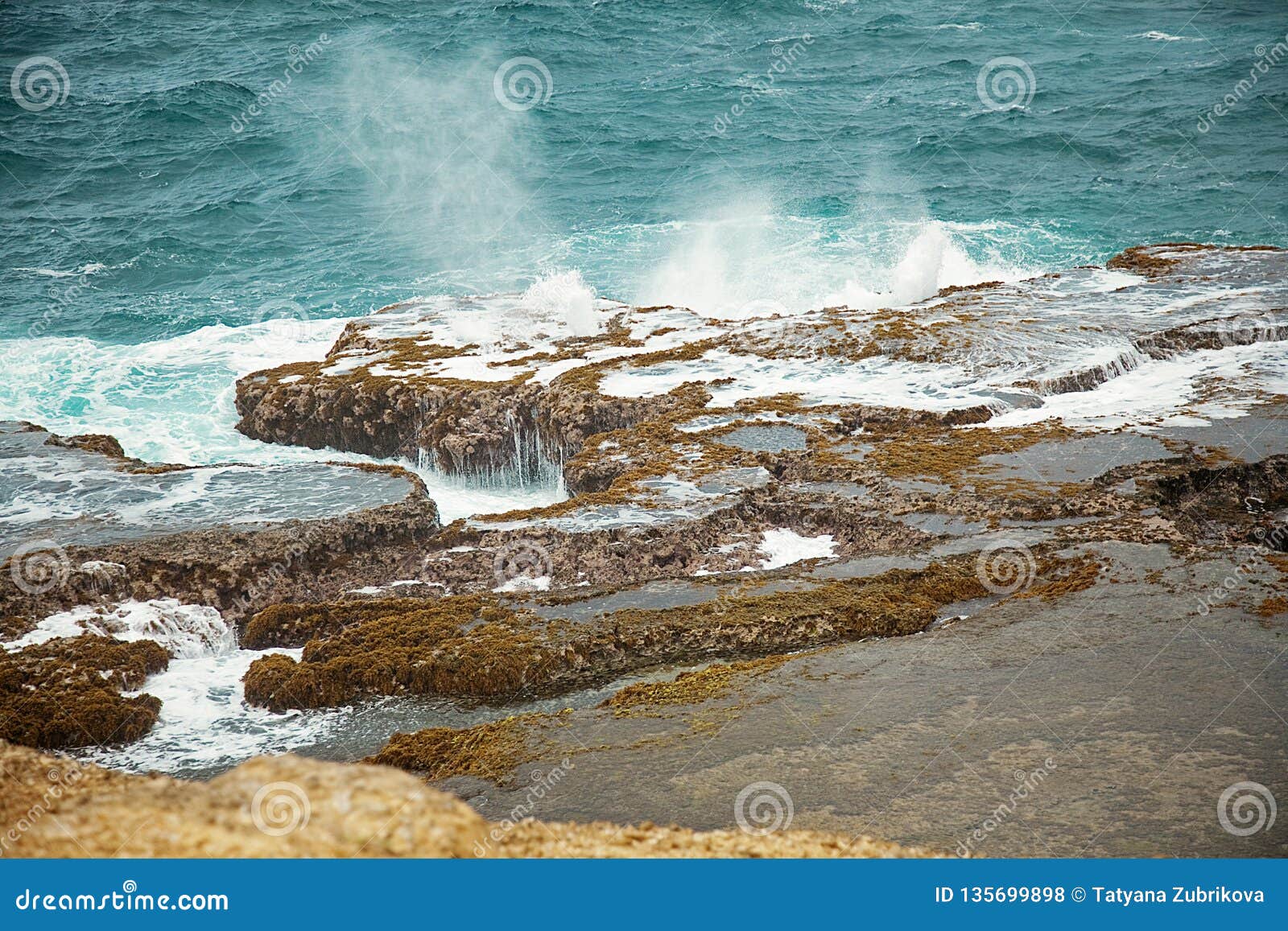 Reefs and Rocks on the Coast. Overcast Weather Stock Photo - Image of ...