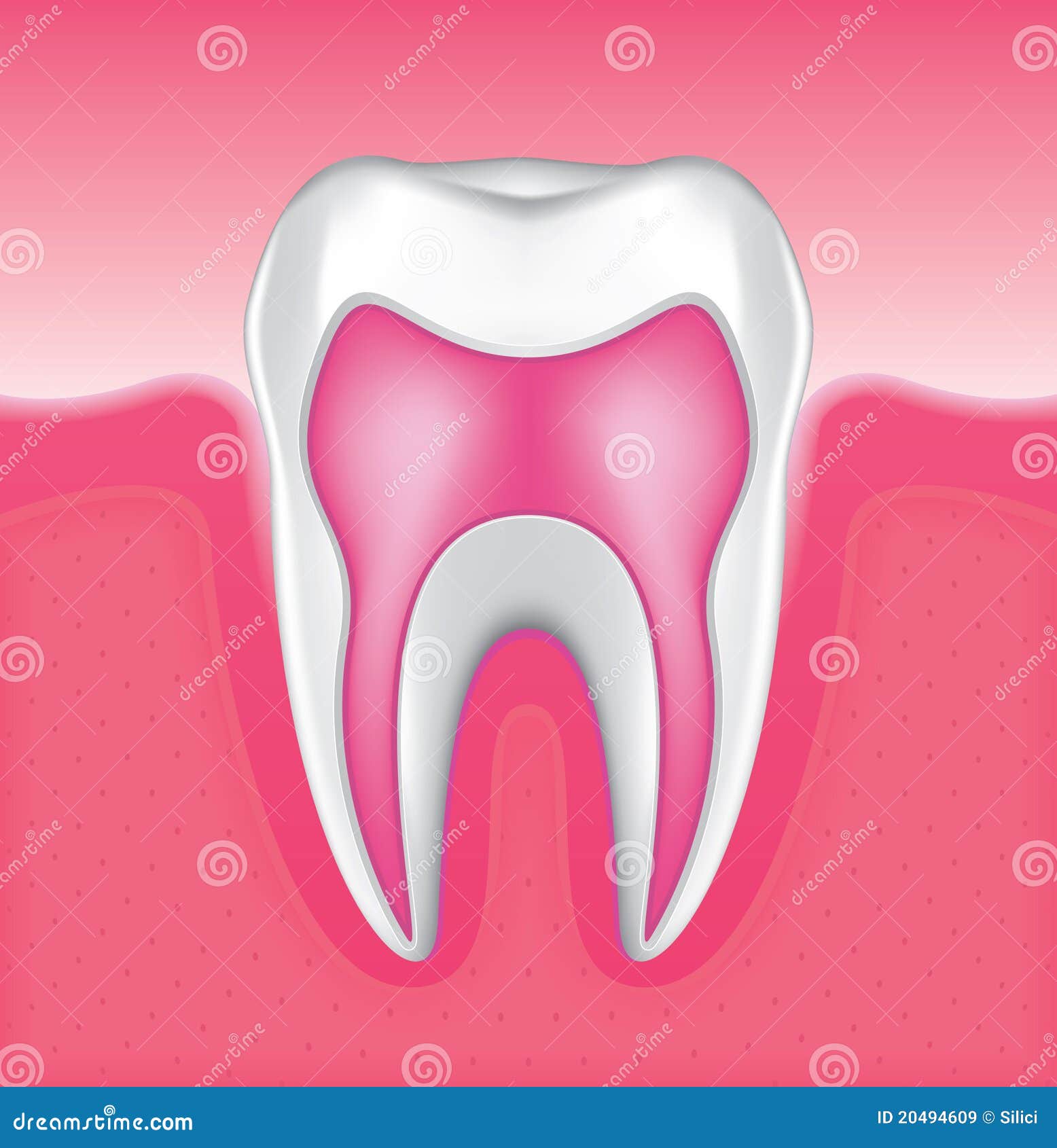 Reeks 4 van de tand vector illustratie. Illustration of grappig - 20494609