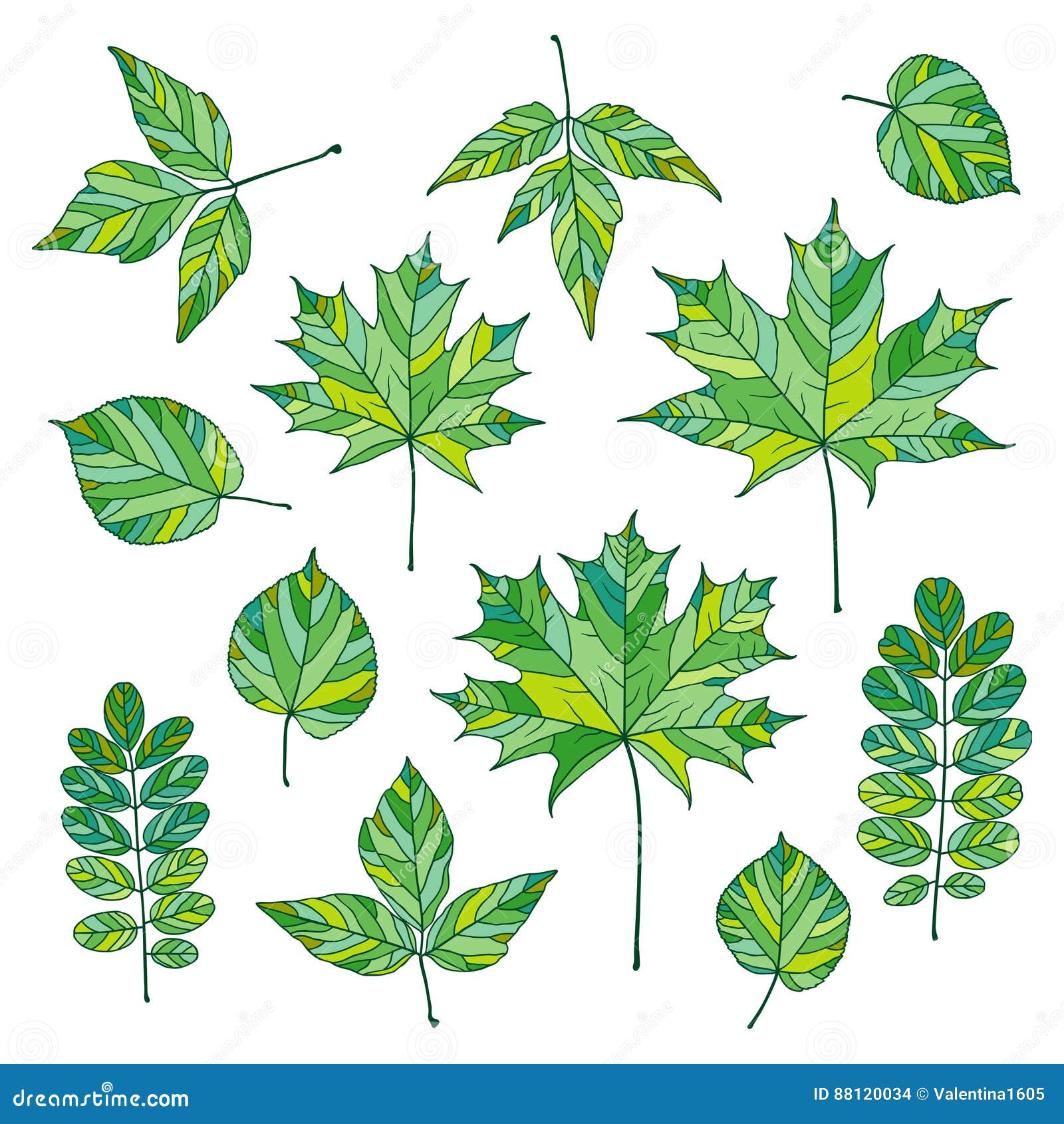 Reeks Bladeren vector illustratie. Illustration of blad - 88120034