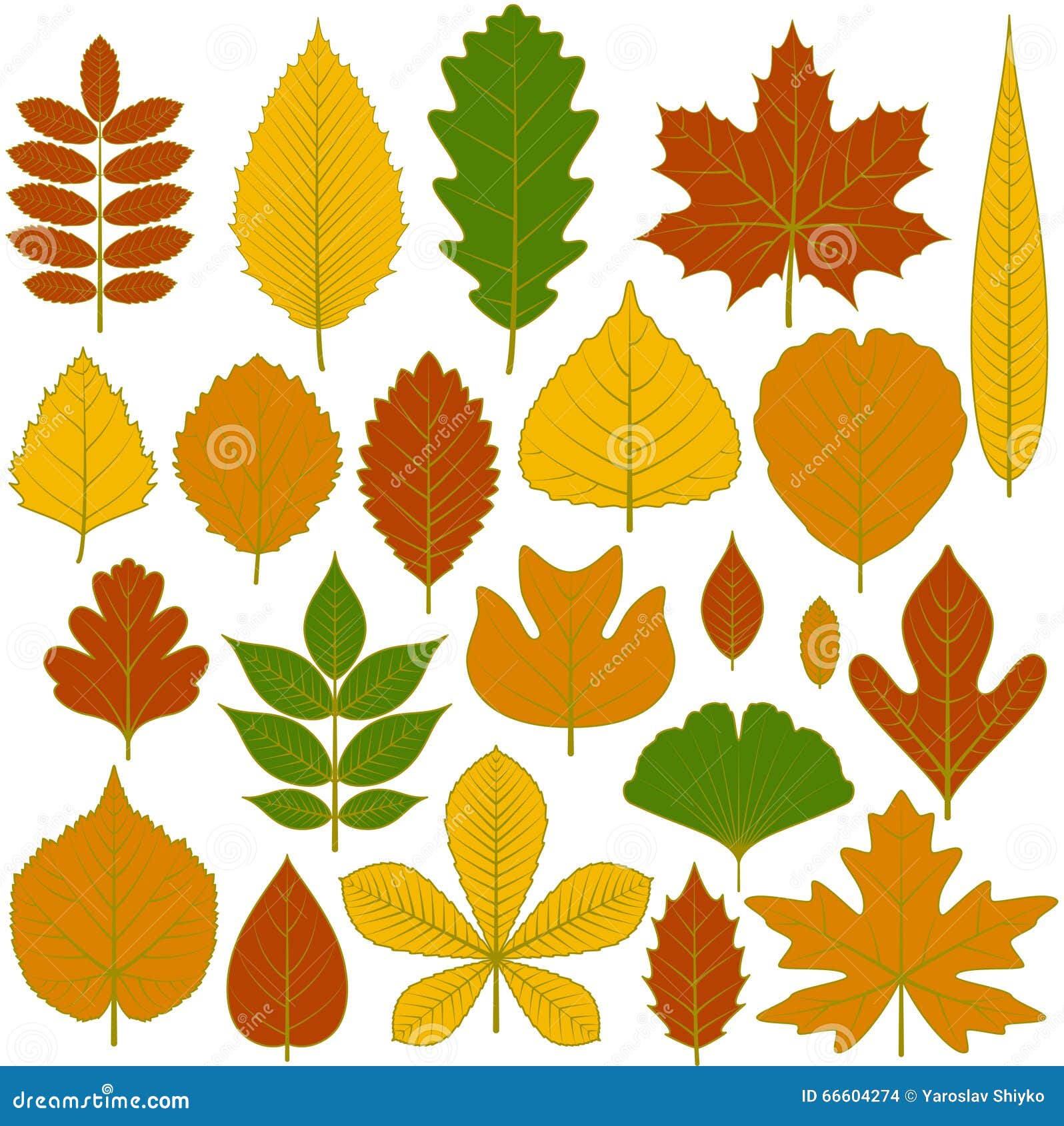 Boombladeren Identificatie