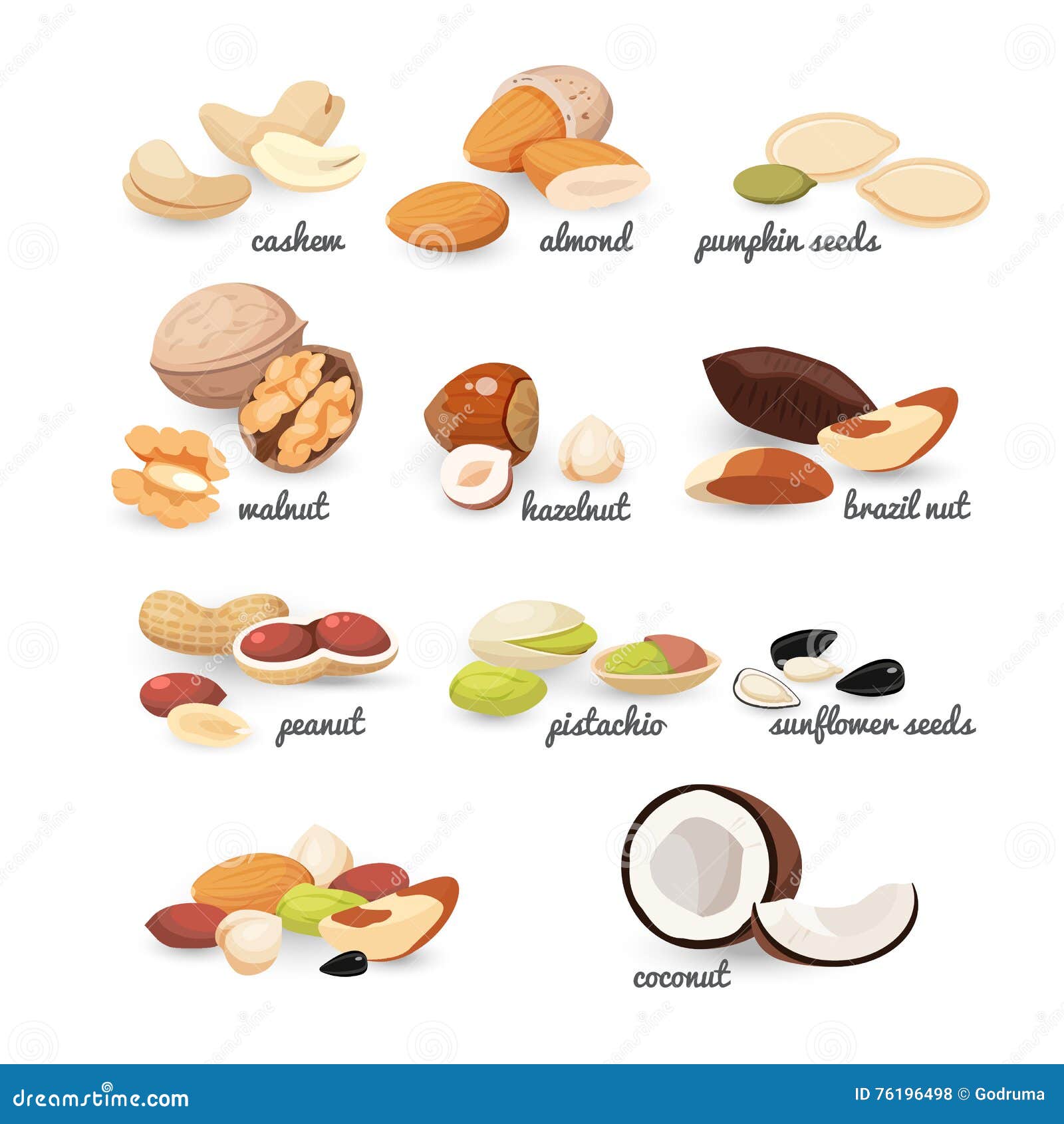 Reeks Diverse Noten En Zaden, Vectorillustratie Vector Illustratie ...