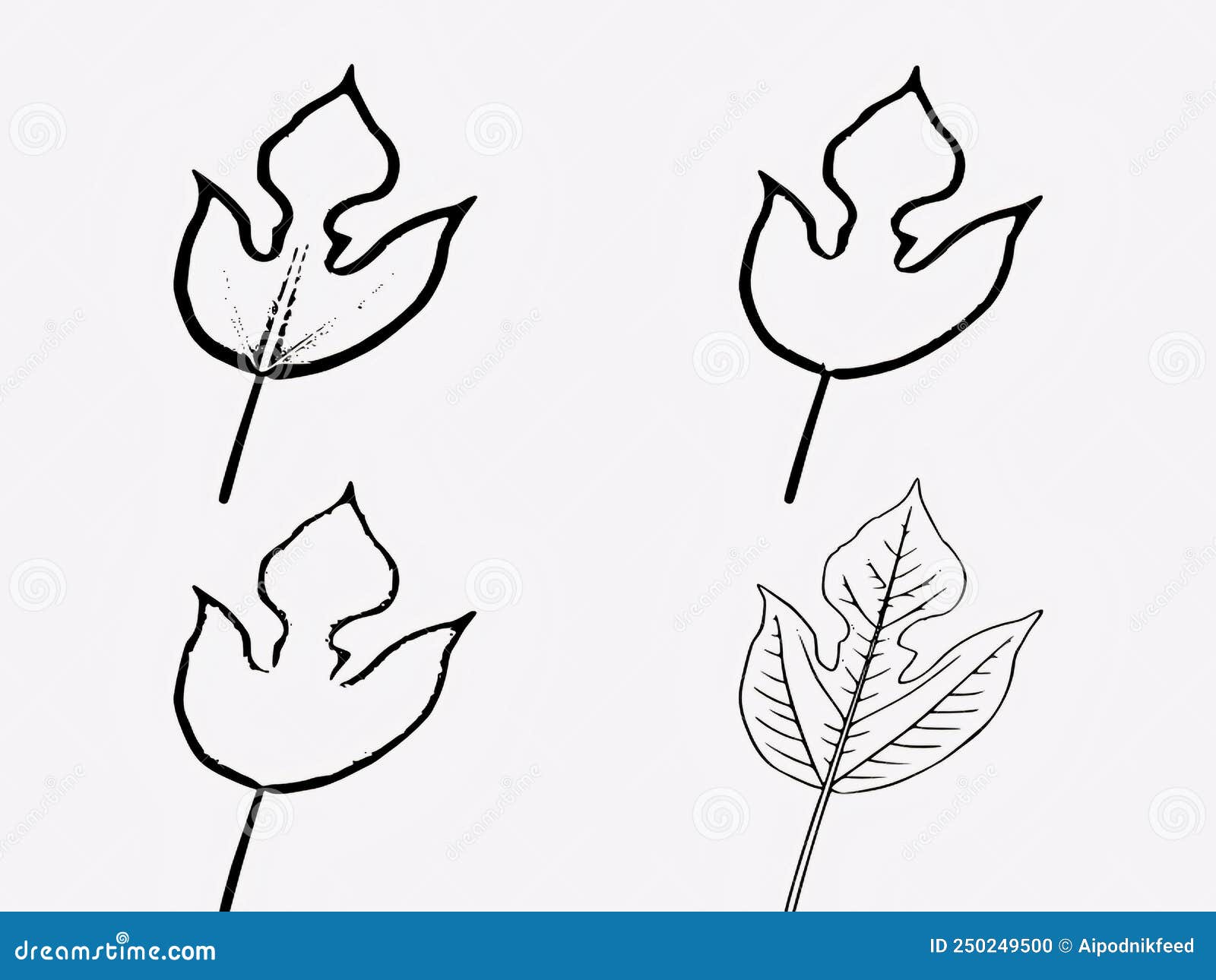 Reeks Getekende Boombladeren in Vector Stock Illustratie - Illustration ...