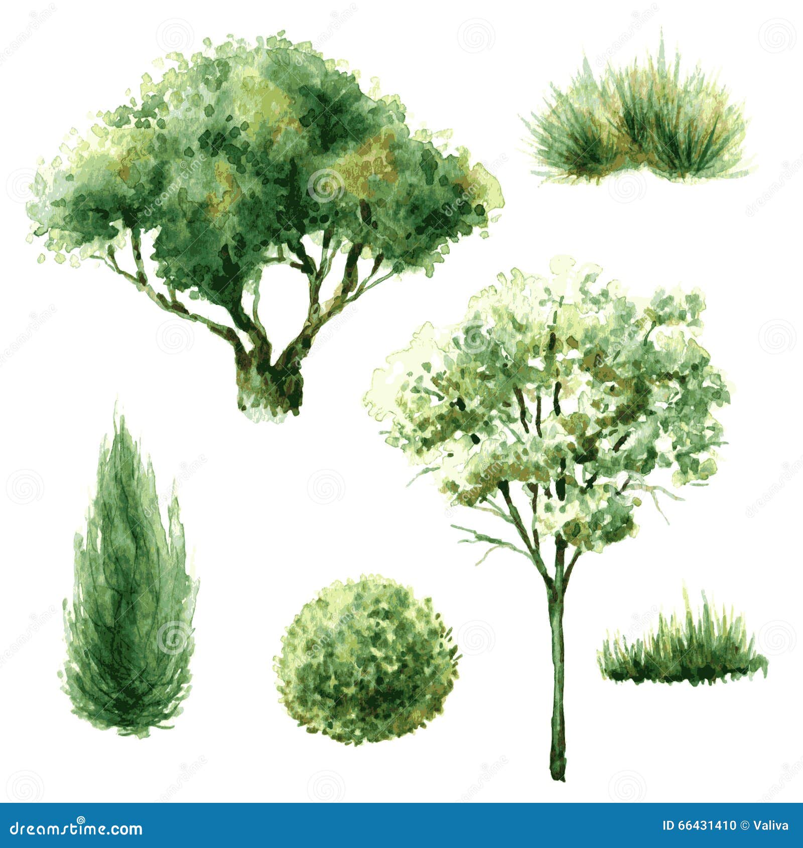 Reeks Groene Bomen En Struiken Vector Illustratie - Illustration of ...