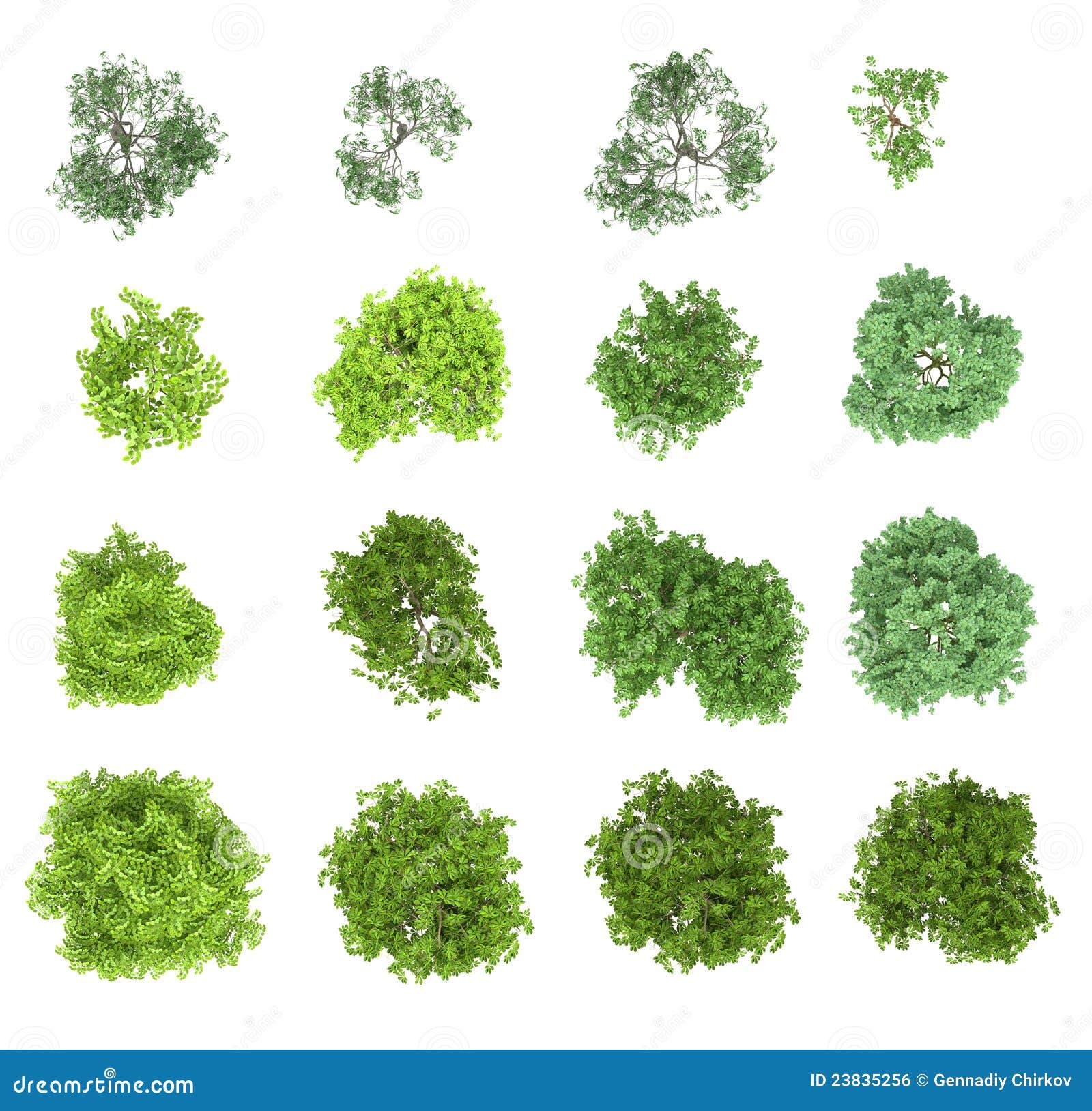 Reeks loofbomen stock foto. Image of zonlicht, zomer - 23835256