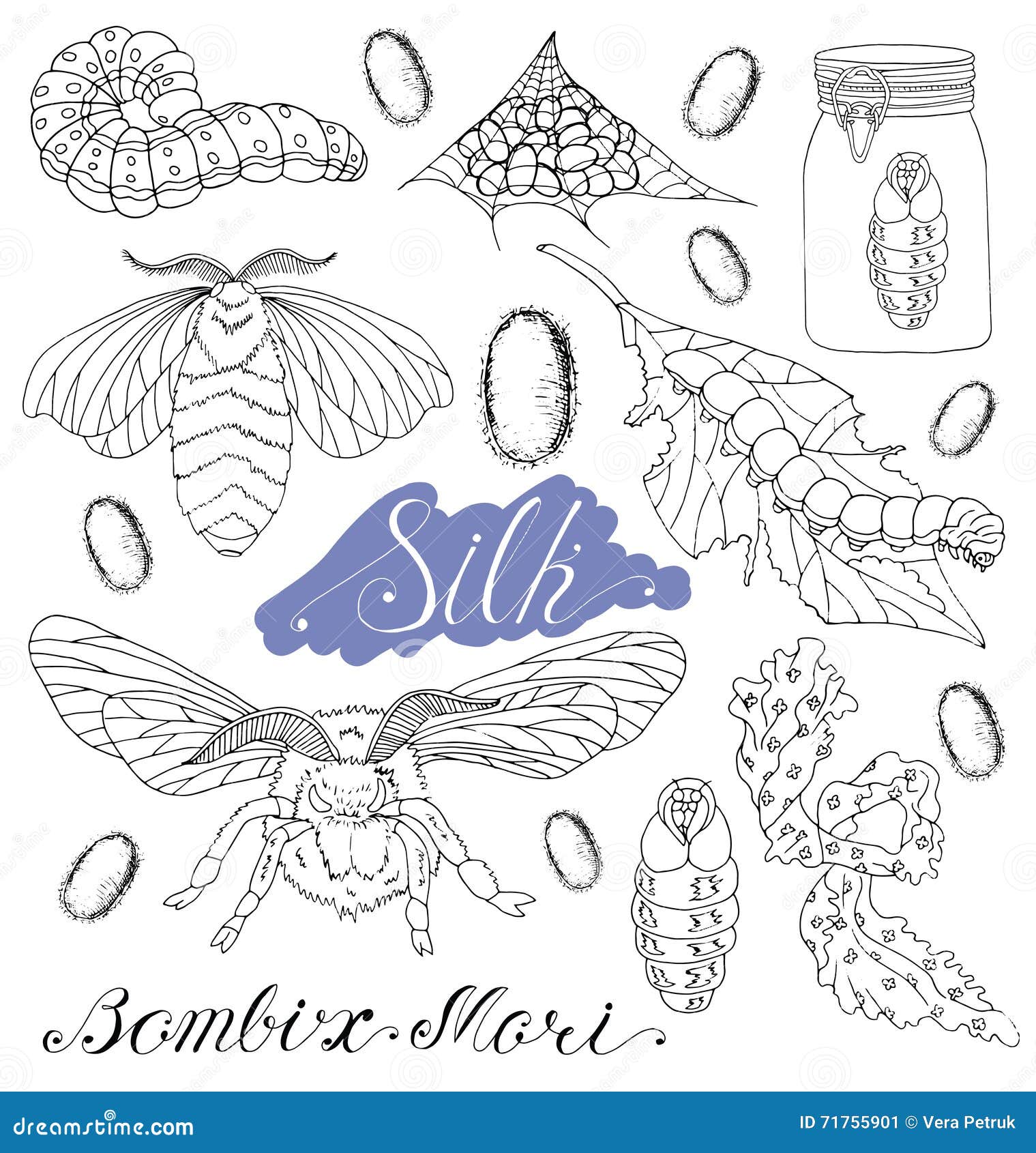 Reeks Met Zijderupsen En Mot Stock Illustratie - Illustration of sjaal ...