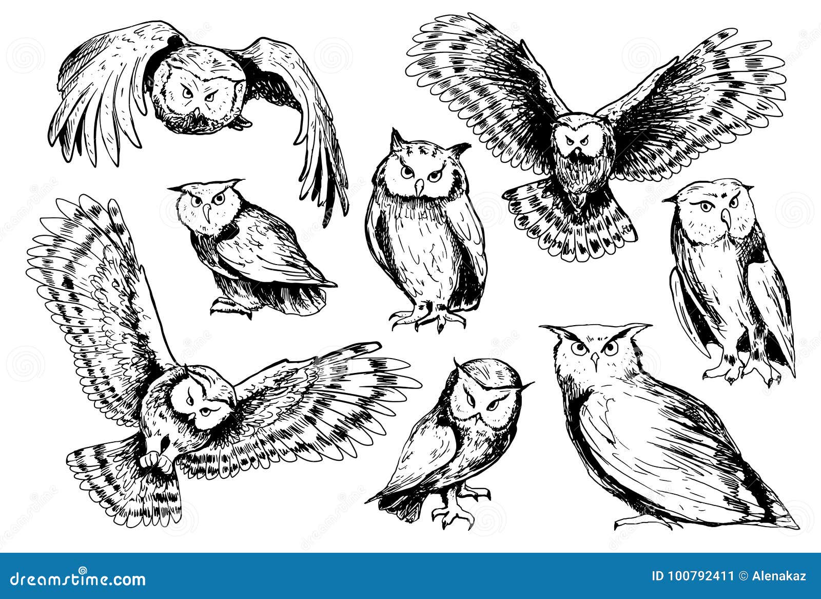 Reeks schetsen van uilen vector illustratie. Illustration of fogie ...