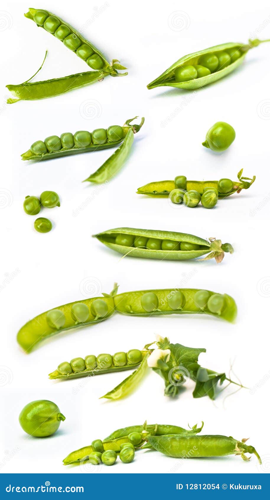 Reeks Van Verse Groene Erwt in De Peul Stock Foto - Image of kromme ...