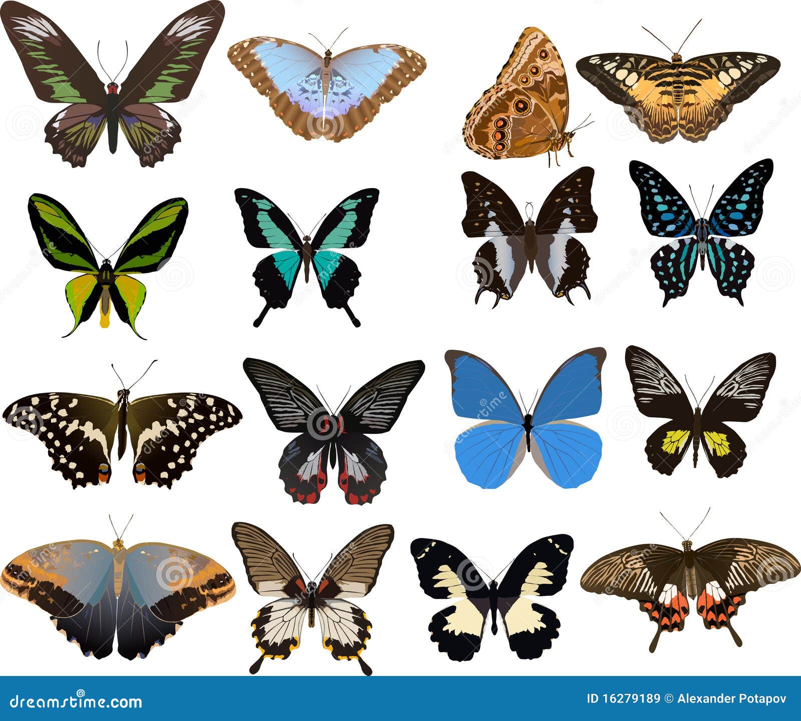 Reeks Van Zestien Kleurenvlinders Vector Illustratie - Illustration of ...