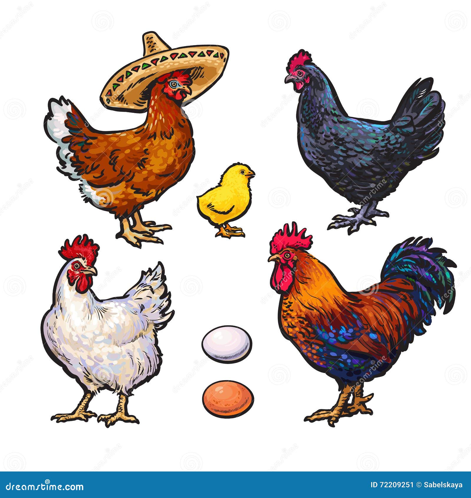 Reeks verschillende kippen vector illustratie. Illustration of kuiken ...