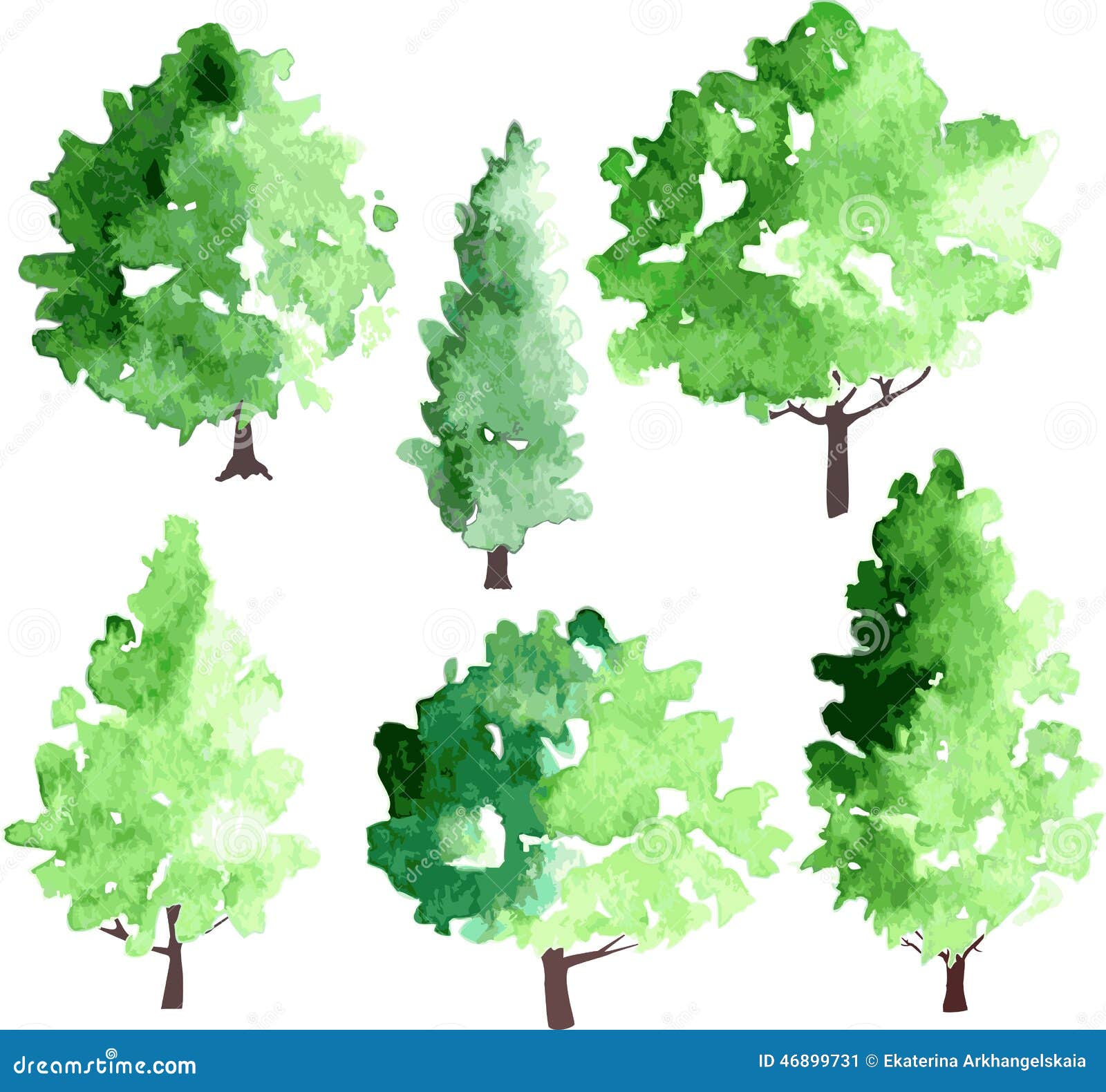 Reeks Verschillende Loofbomen Vector Illustratie - Illustration of ...