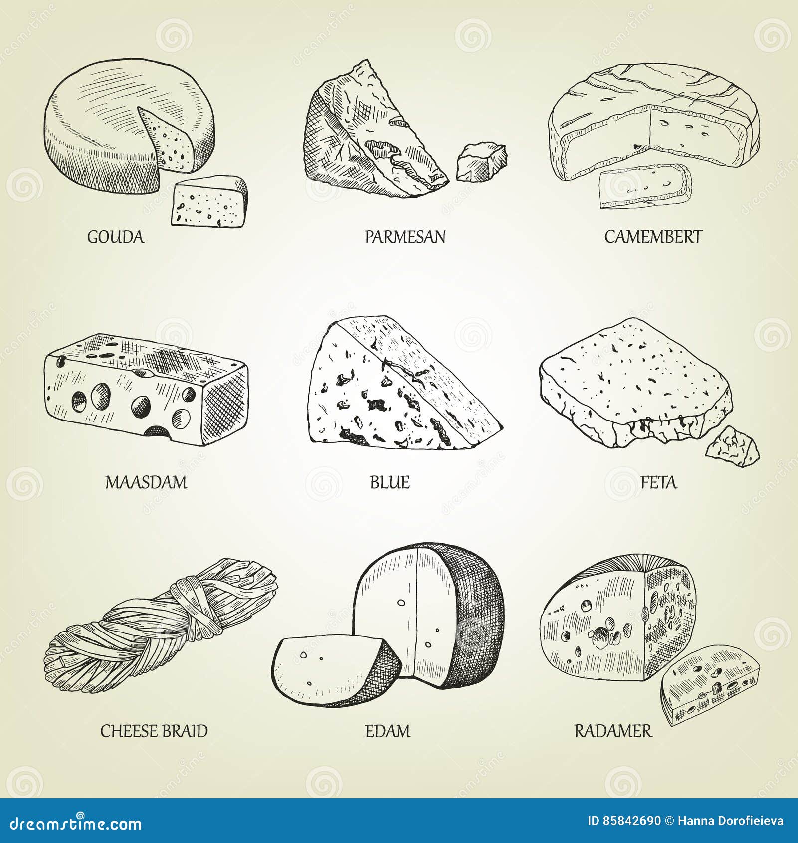 Reeks Verschillende Soorten Grafische Kaas Vector Illustratie ...