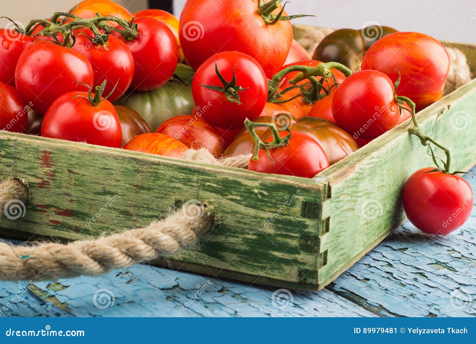 Reeks Verschillende Soorten Tomaten Stock Afbeelding - Image of ...
