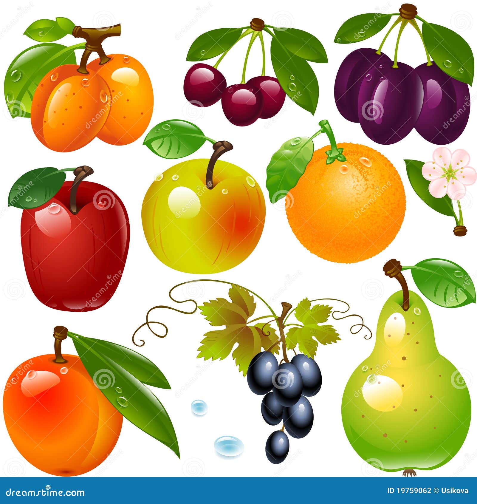 Reeks Verschillende Vruchten Vector Illustratie - Illustration of ...