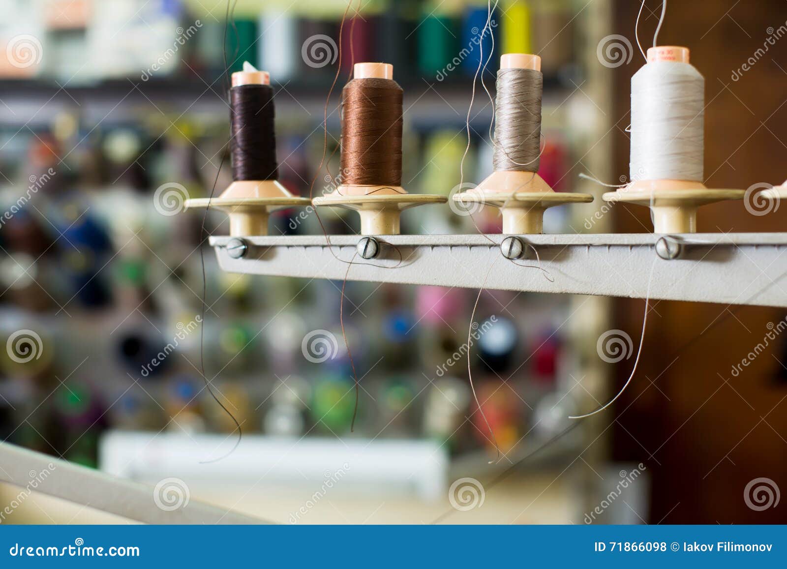 Reels of Threads in Sewing Shop Stock Photo - Image of interior, plant ...