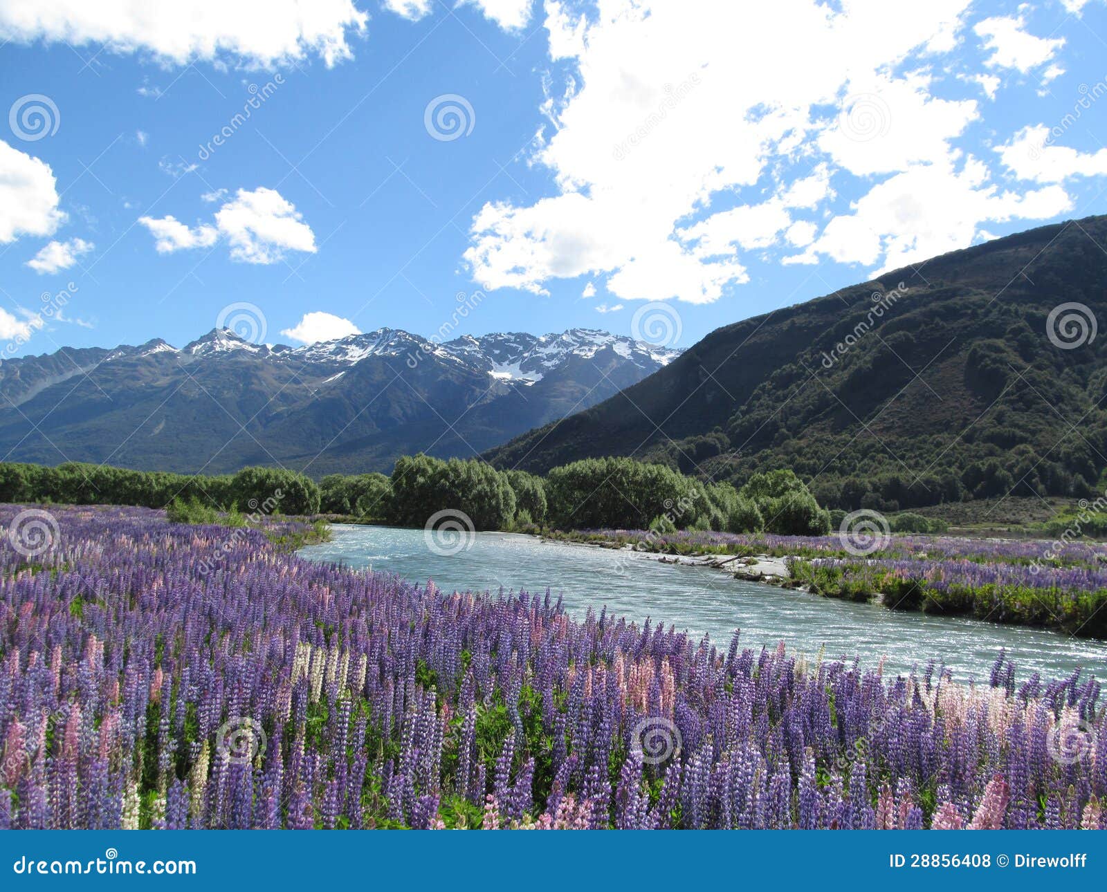 New Rees Valley Photos - Free & Royalty-Free Stock Photos from Dreamstime