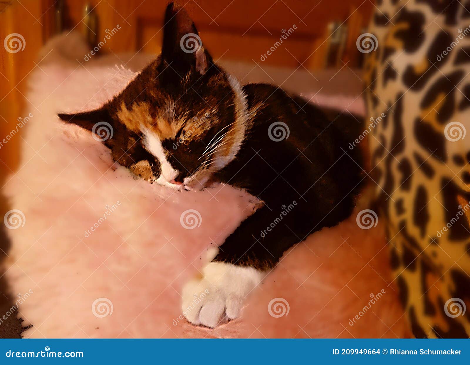 Reese stock photo. Image of animal, carnivore, brown - 209949664