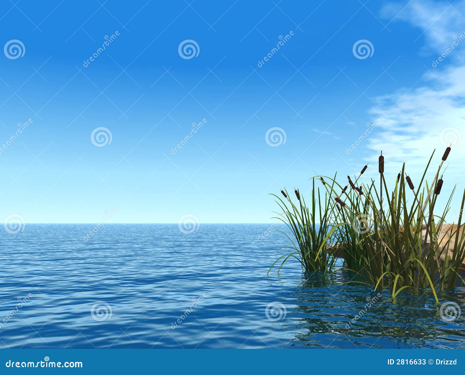 Reet stock illustration. Illustration of green, saturated - 2816633