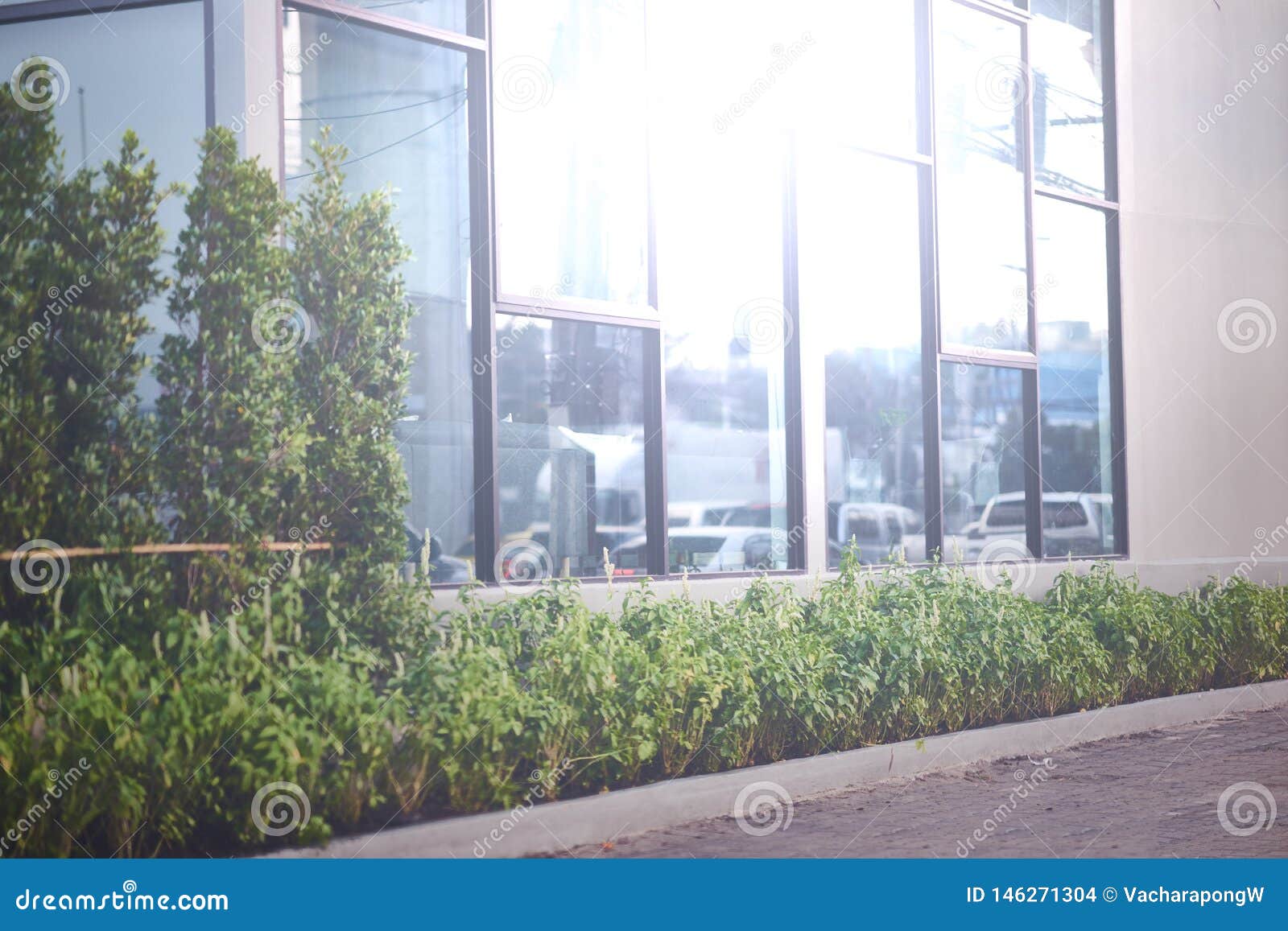 Refection of Sun Light on Office Mirror Stock Photo - Image of city ...