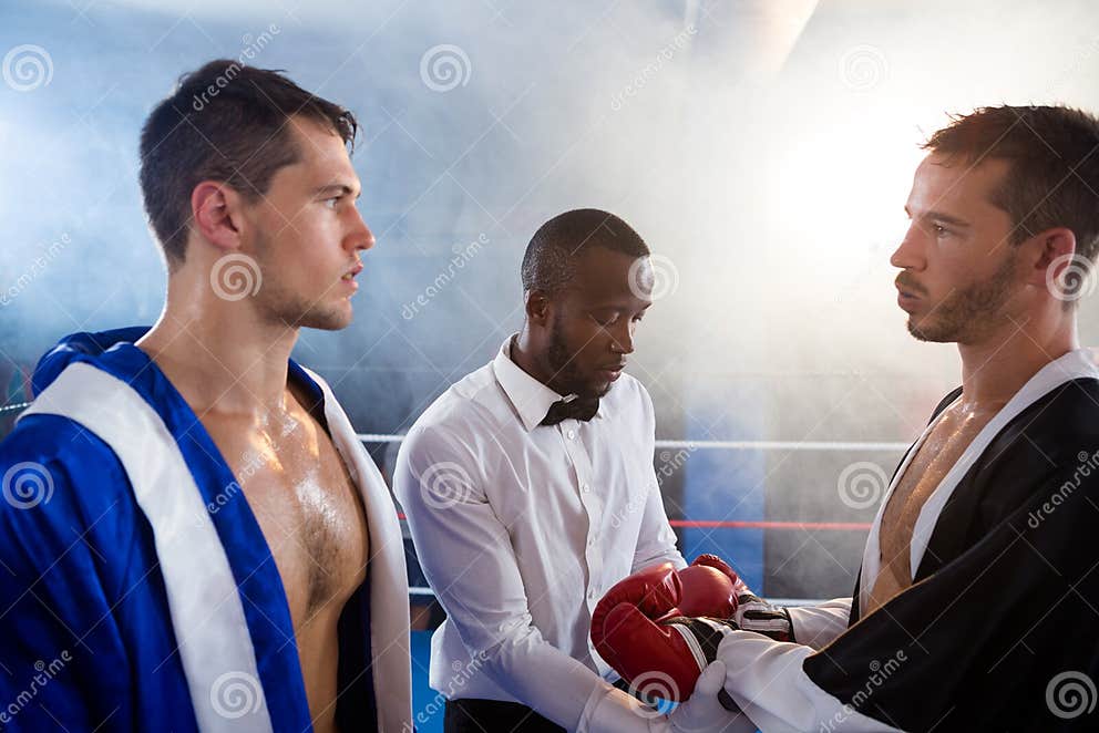 Referee Checking Gloves of Male Boxer Stock Image - Image of authority ...