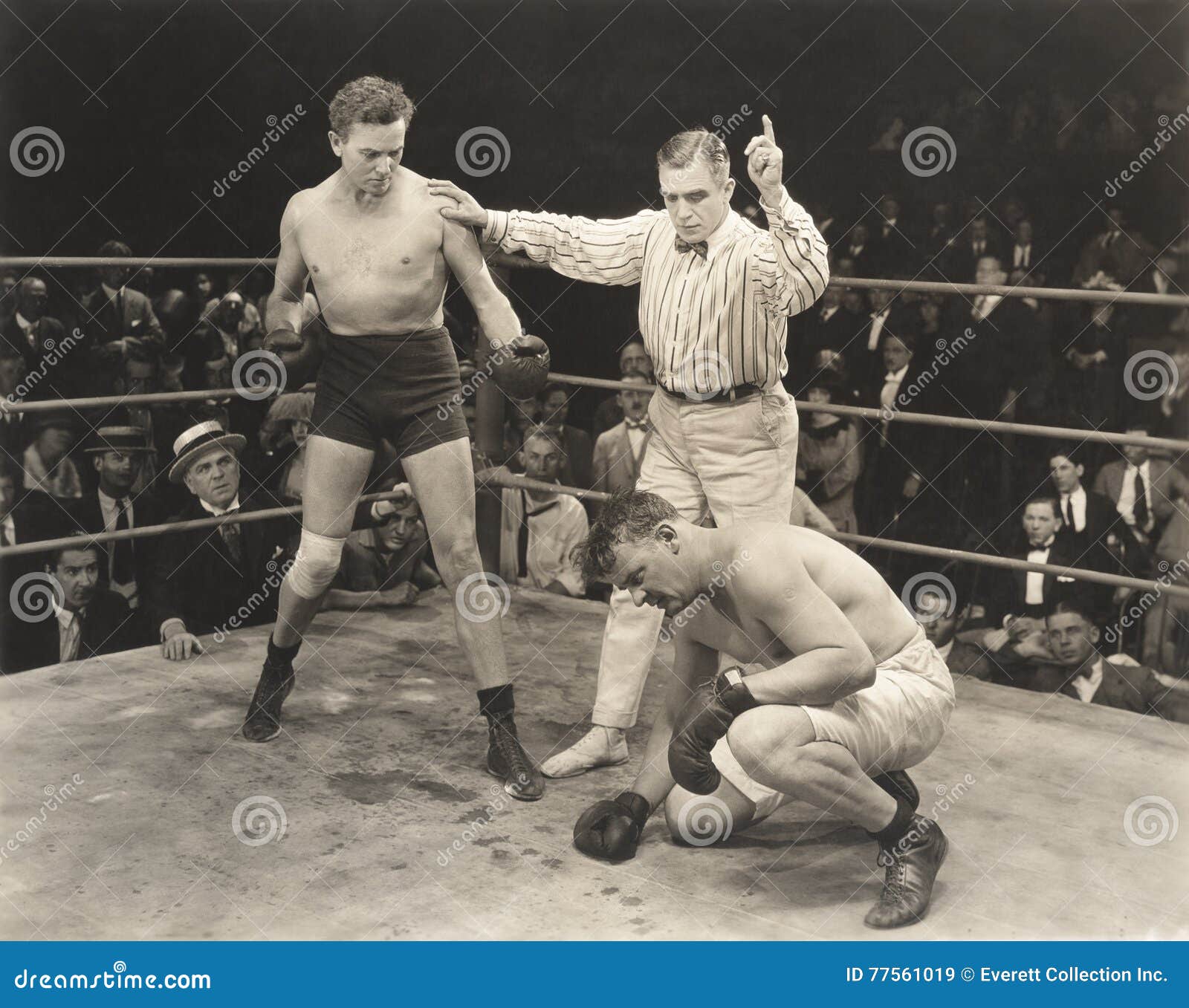 Referee Counting Over Boxer in Ring Stock Image - Image of showing ...