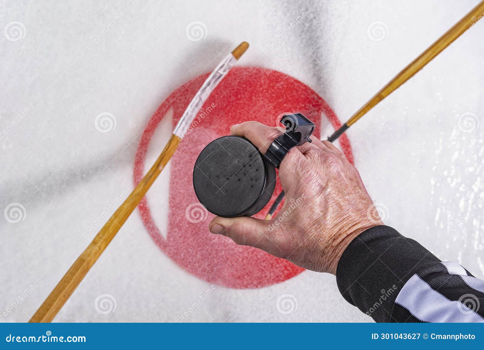 Referee Dropping Ice Hockey Puck in the Faceoff Circle Stock Image ...