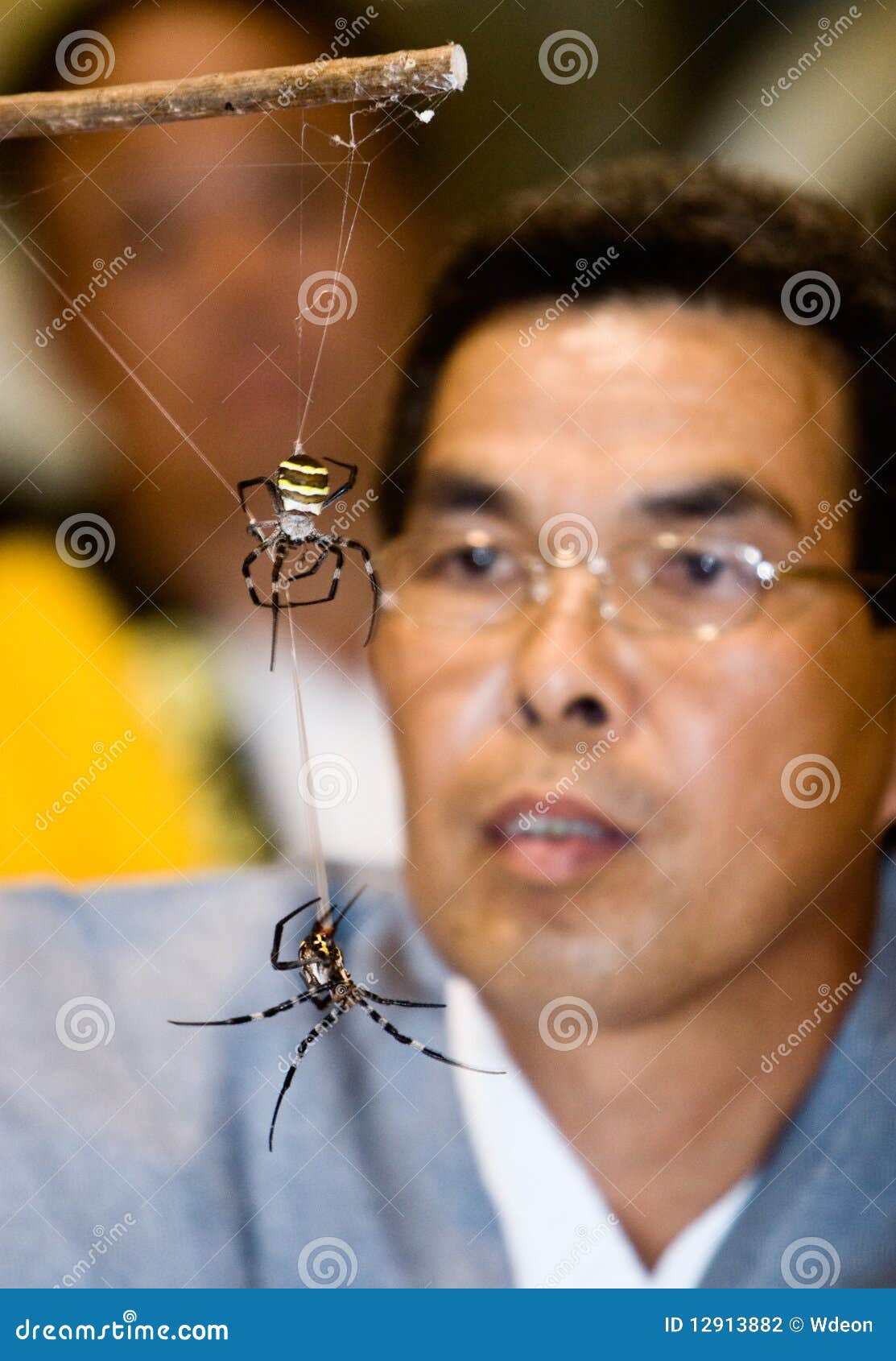 A Referee Watching Two Spiders Fight Editorial Photography - Image of ...