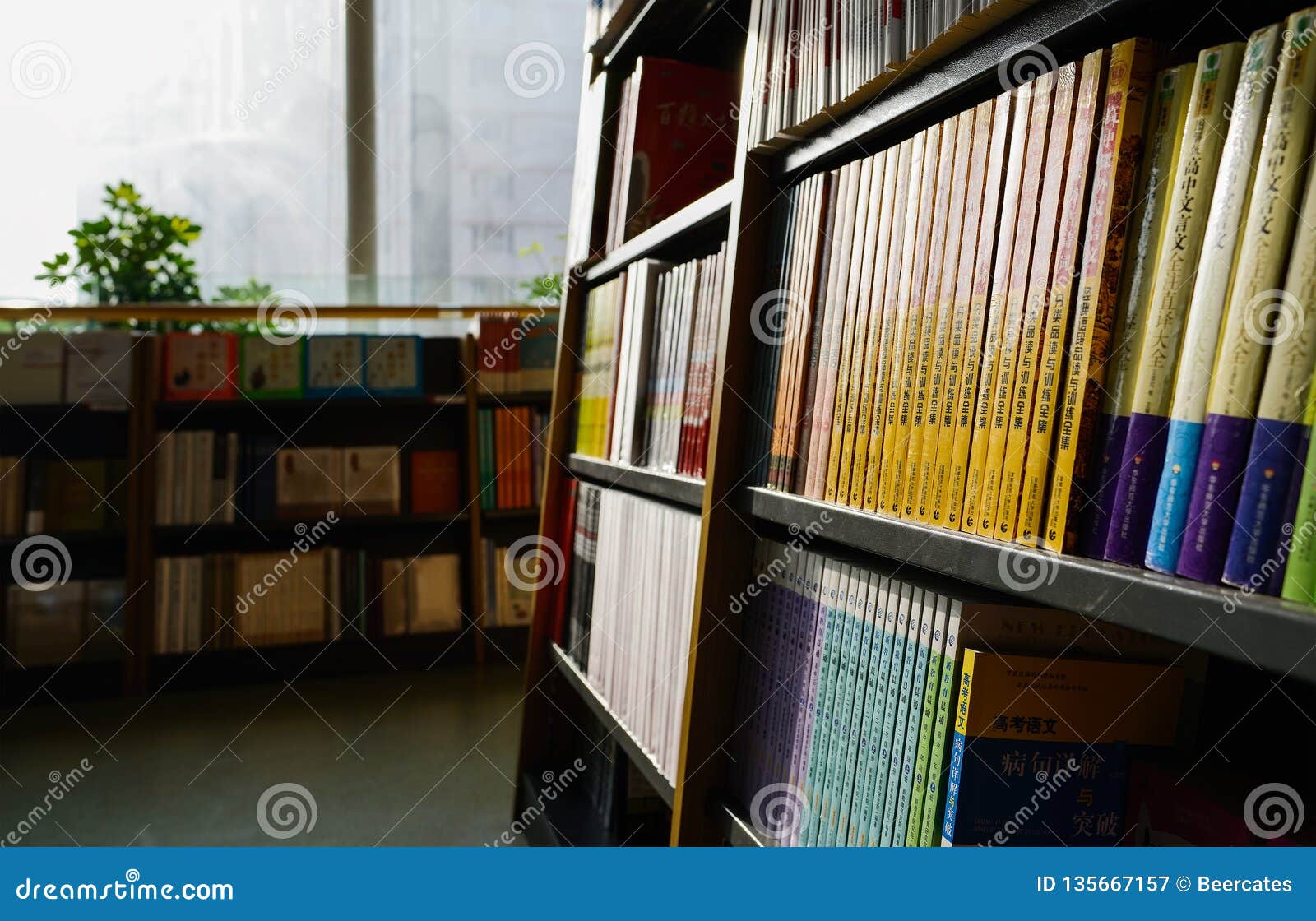Reference Books for Students on Bookstack in Bookstore Editorial ...