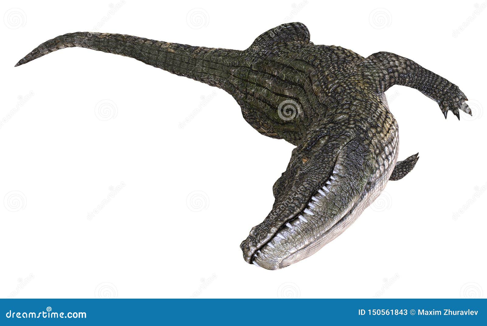 A Reference Image Alligator Isolated on White Background 3d ...