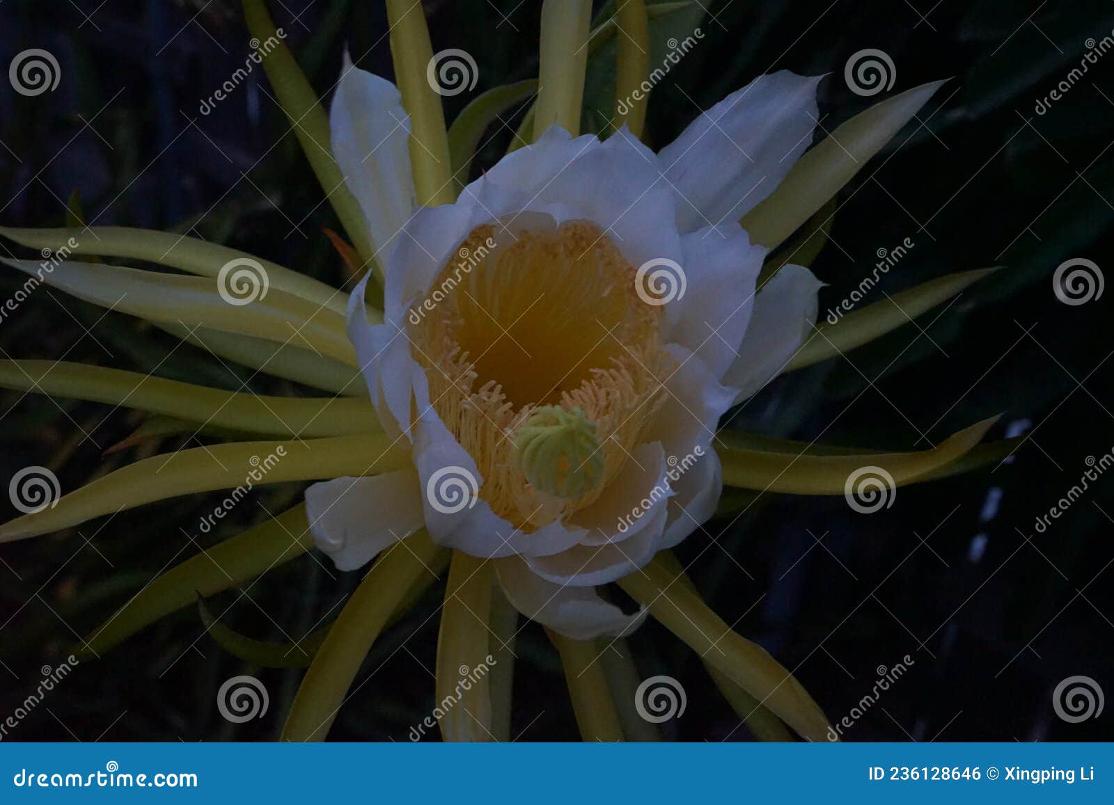 This is a Reference Picture of an Abstract Picture Stock Photo - Image ...