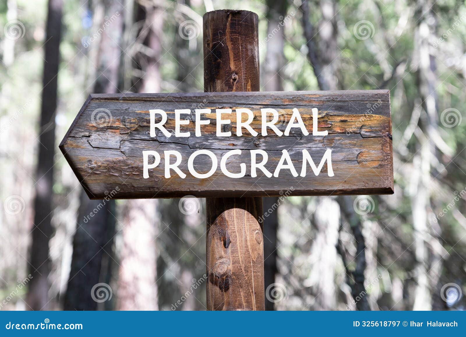 REFERRAL PROGRAM Word. Text Written on a Wooden Signpost Against a ...
