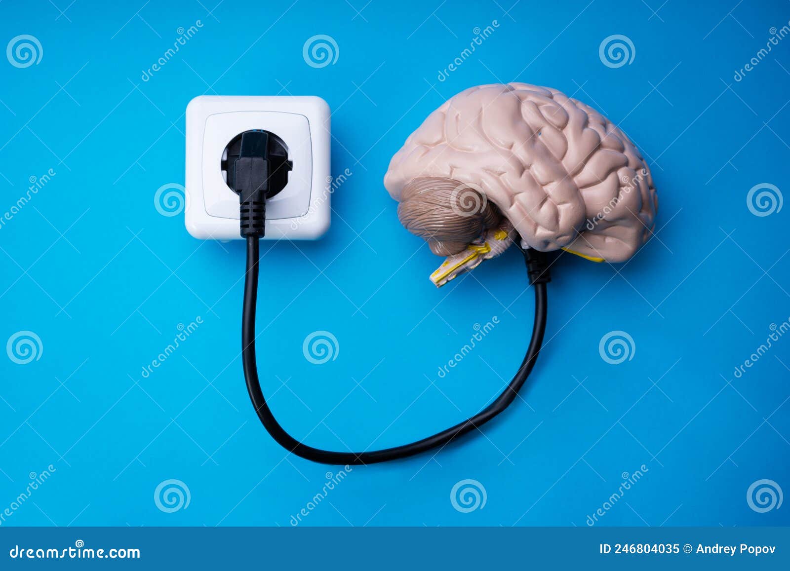 Refill Brain Intelligence with Socket Plug Stock Image - Image of ...