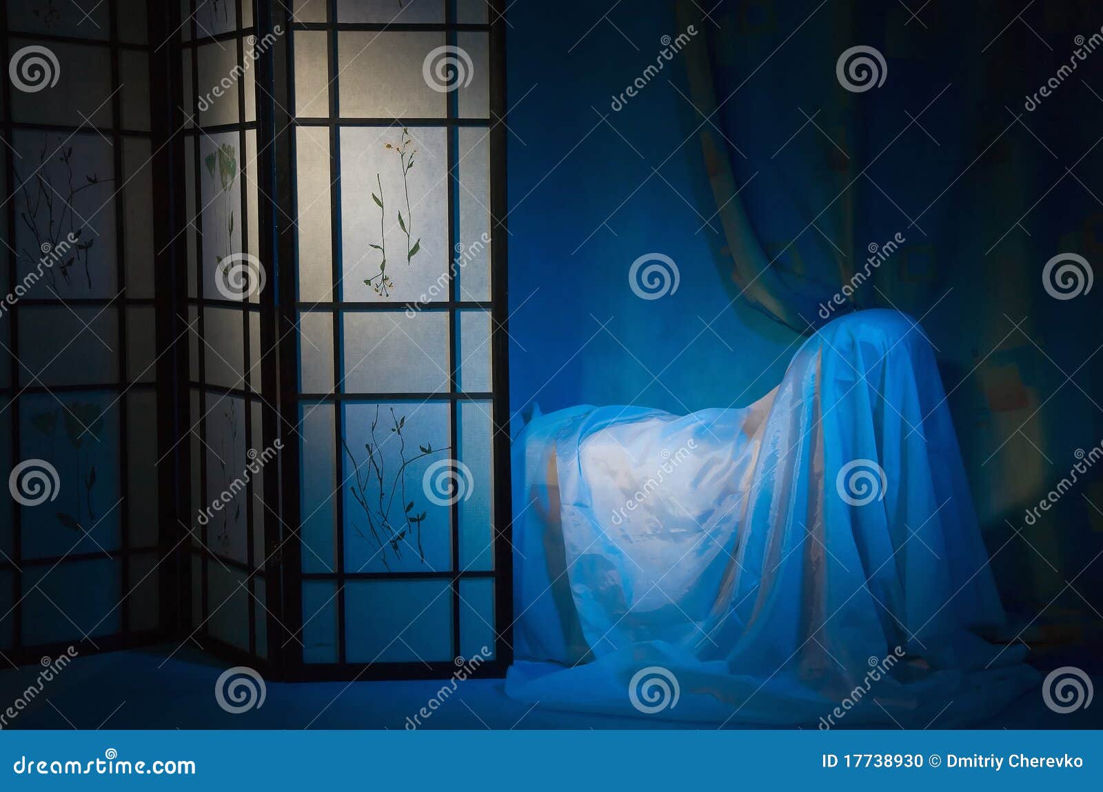 Refined boudoir interior stock photo. Image of estate - 17738930