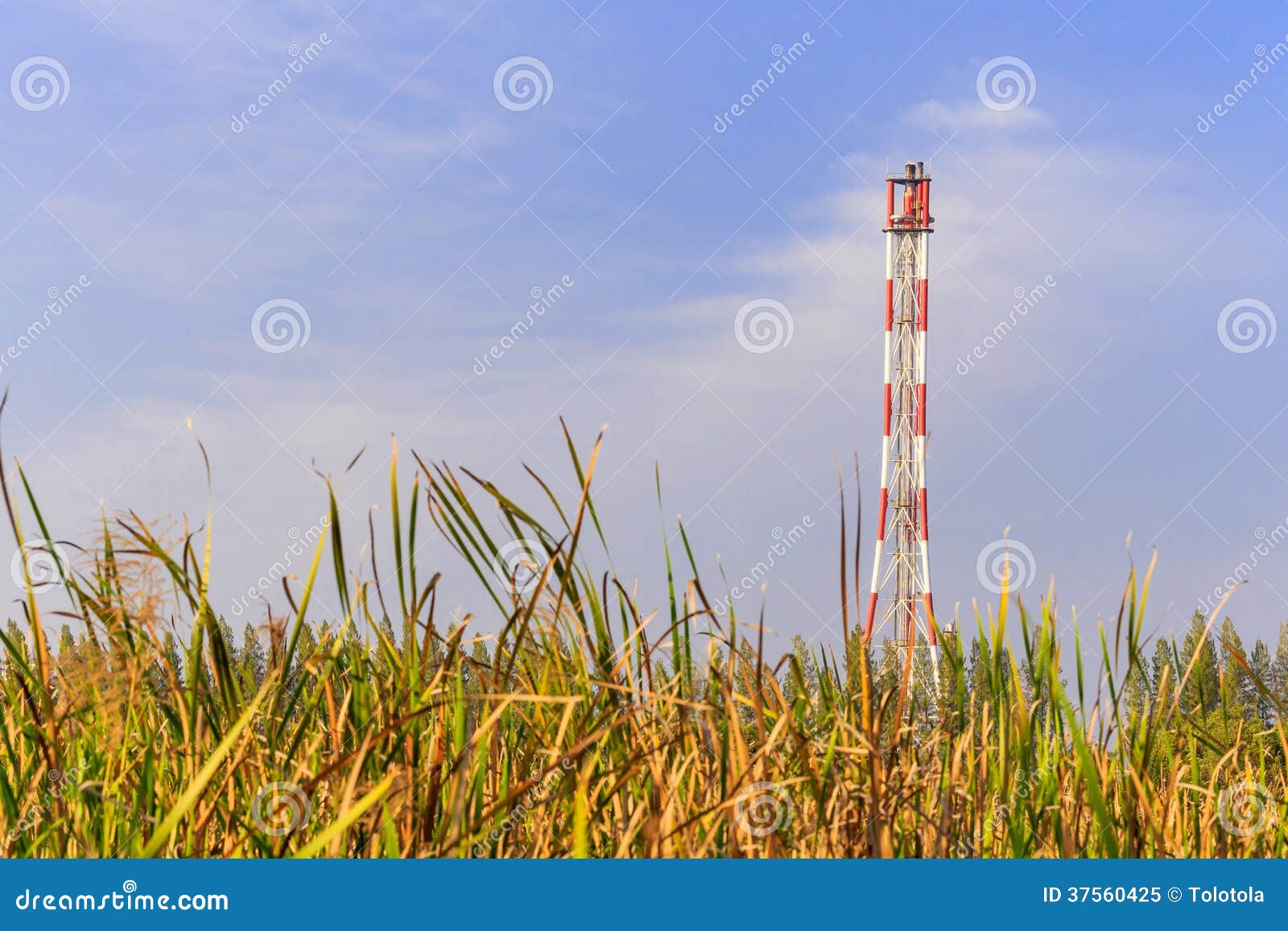 Refinery Flare with the Grass Foreground and Blue Sky Stock Image ...