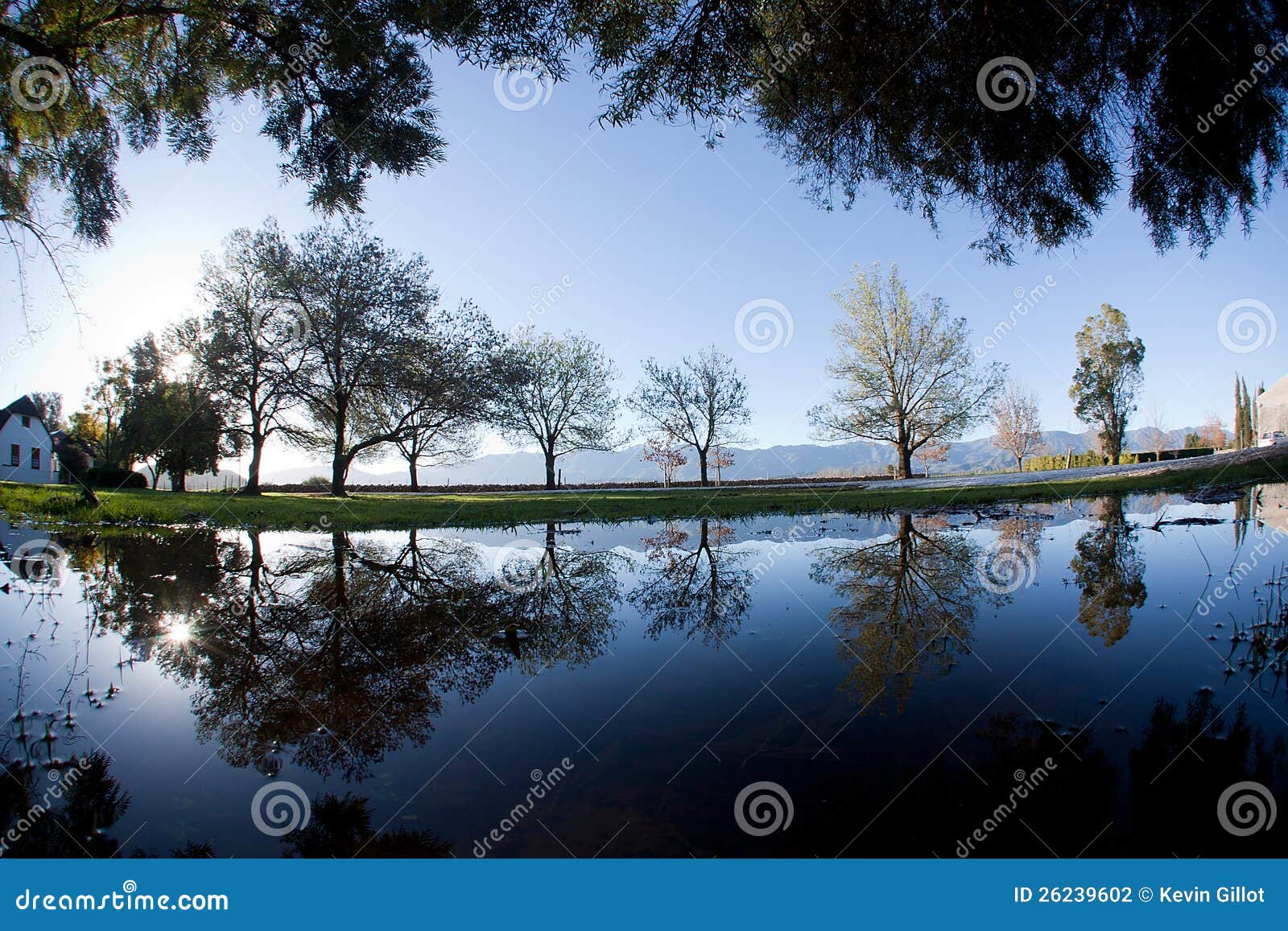 Reflected Spring stock photo. Image of spring, robertson - 26239602