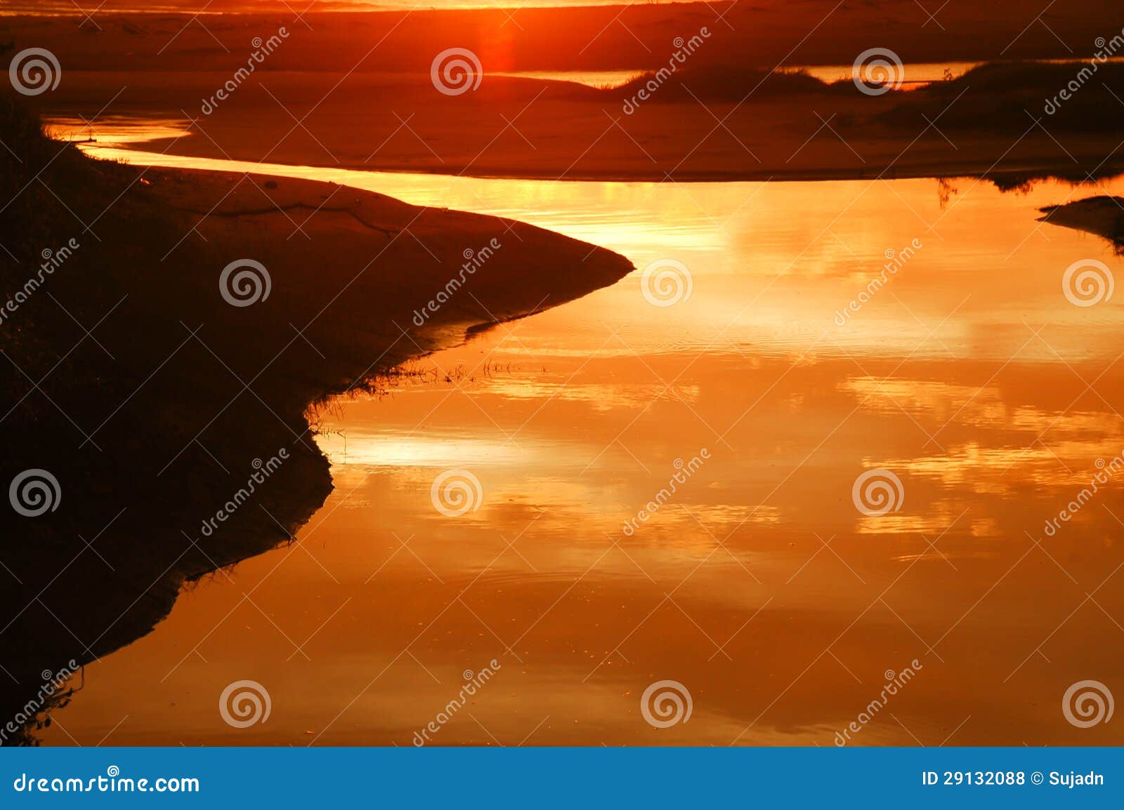 Reflected Sunlight Falling on the Surface Stock Photo - Image of palm ...