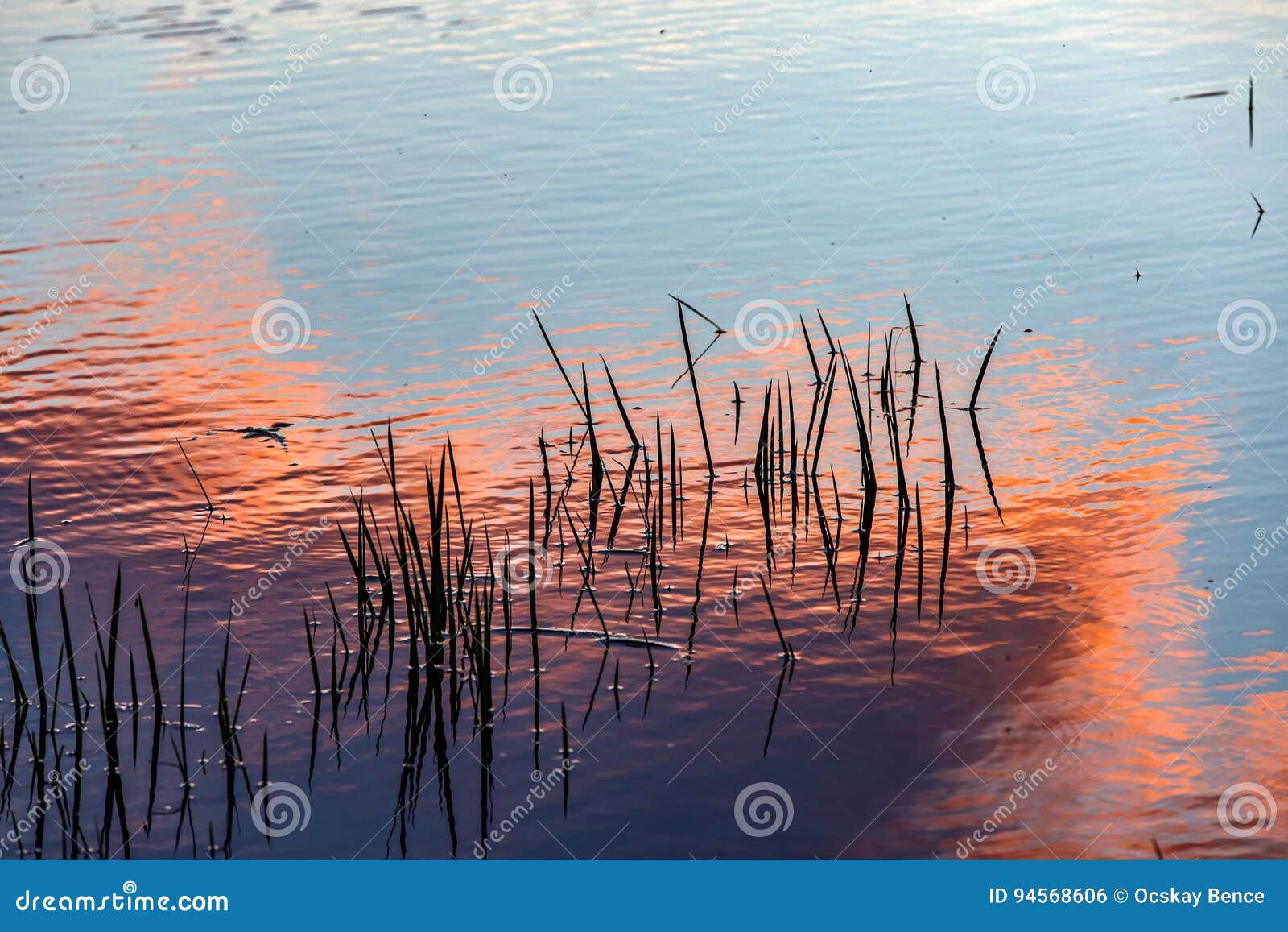 Reflected Sunset on the Water Stock Photo - Image of reservation ...