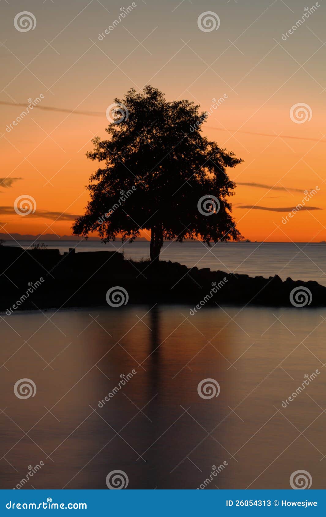 Reflected Tree at Sunset stock image. Image of tranquil - 26054313
