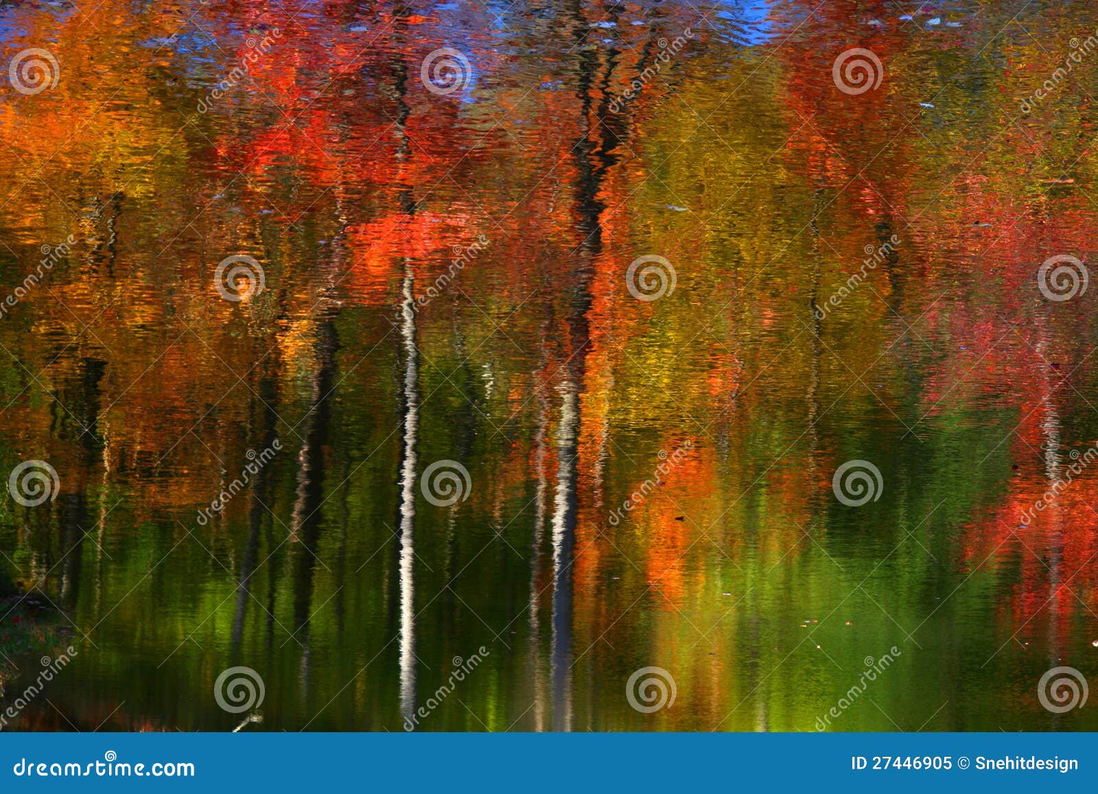 Reflected trees stock image. Image of morning, panorama - 27446905