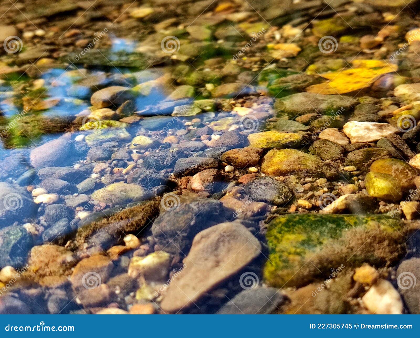 Reflecting clear riverbed stock image. Image of reflection - 227305745