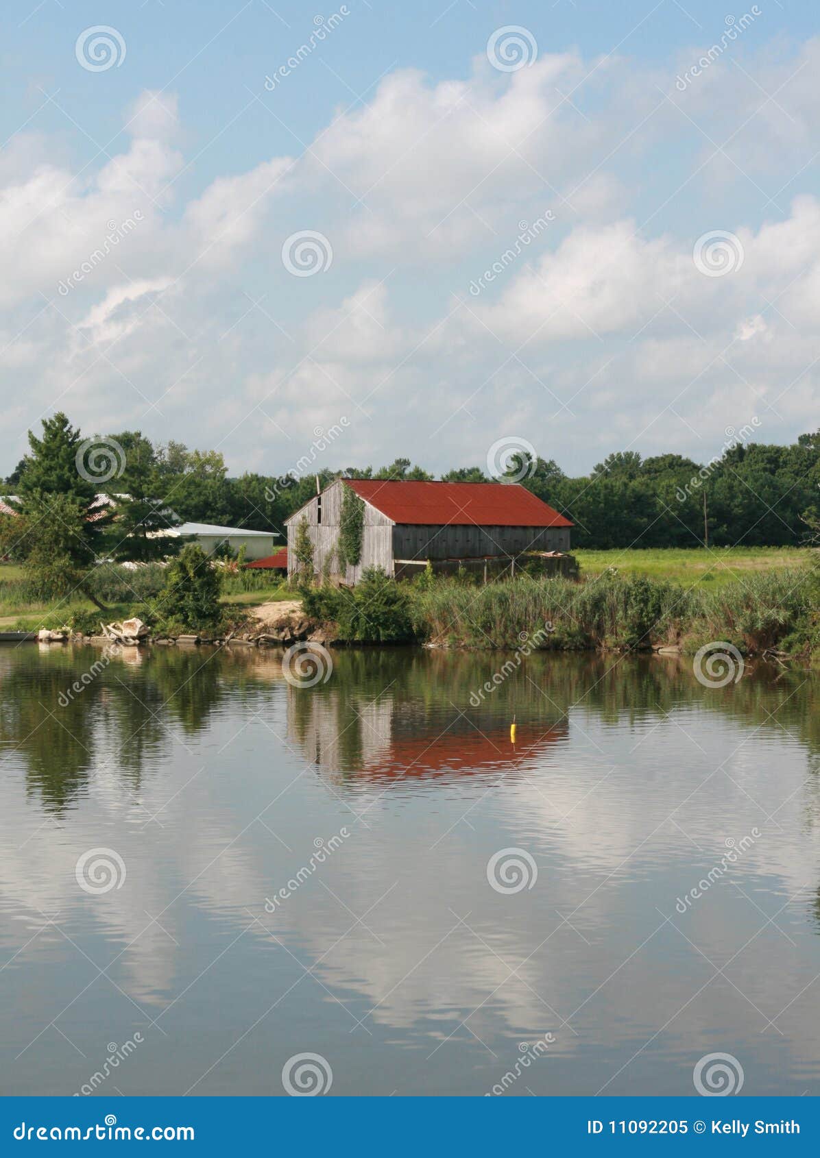 Reflecting on the farm stock image. Image of country - 11092205