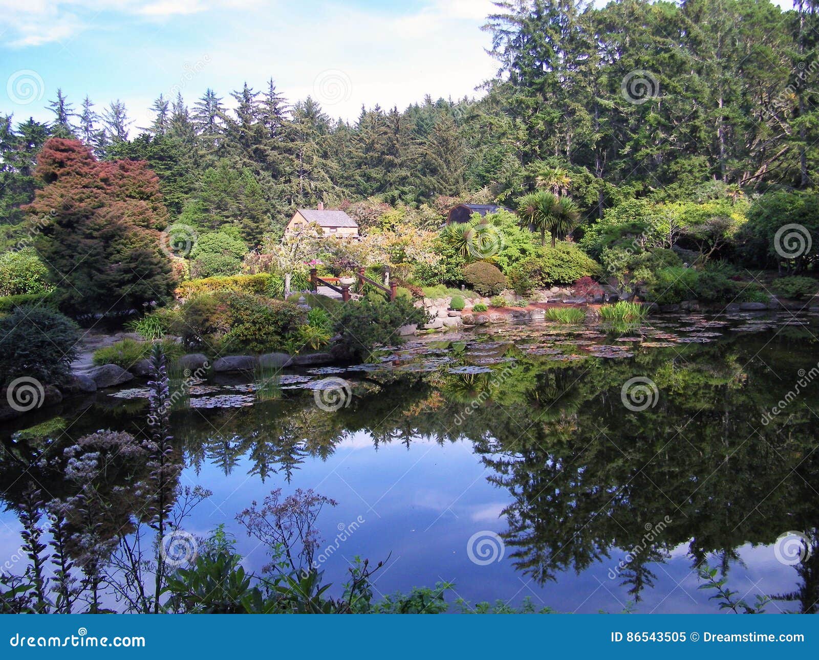 Reflecting garden pond stock image. Image of rocks, surf - 86543505