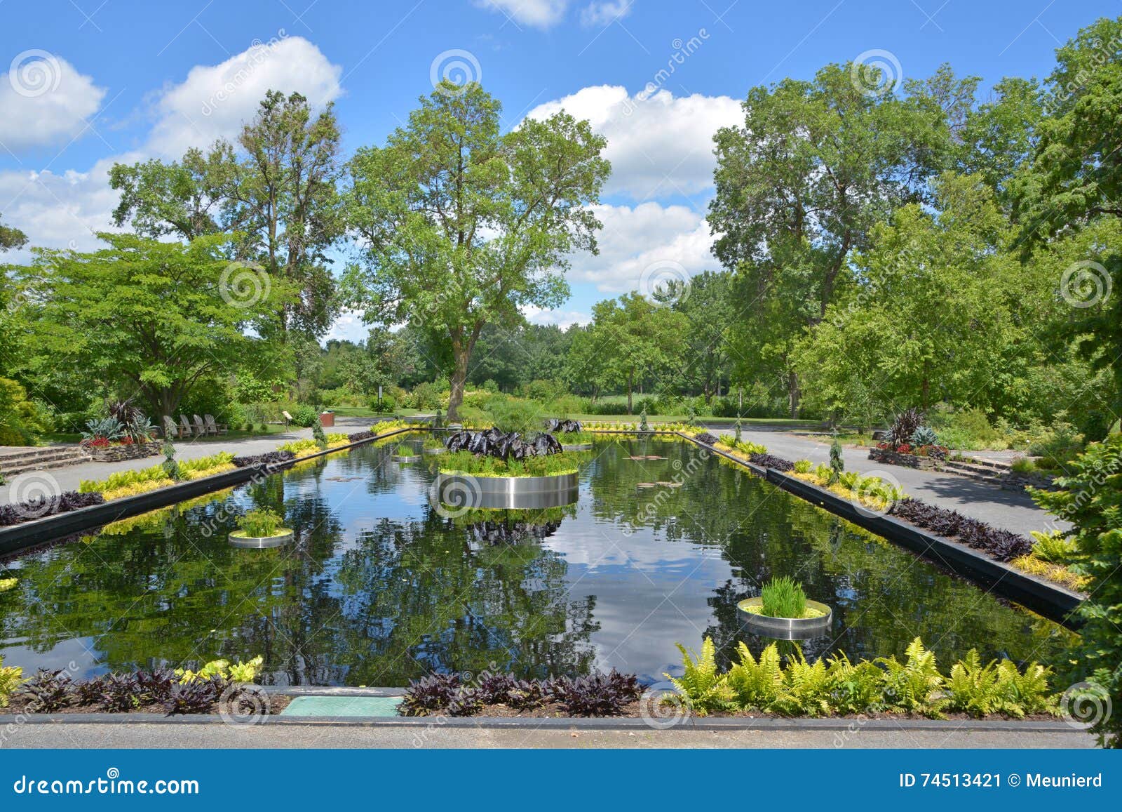 Reflecting pond stock image. Image of nature, lotus, formal - 74513421