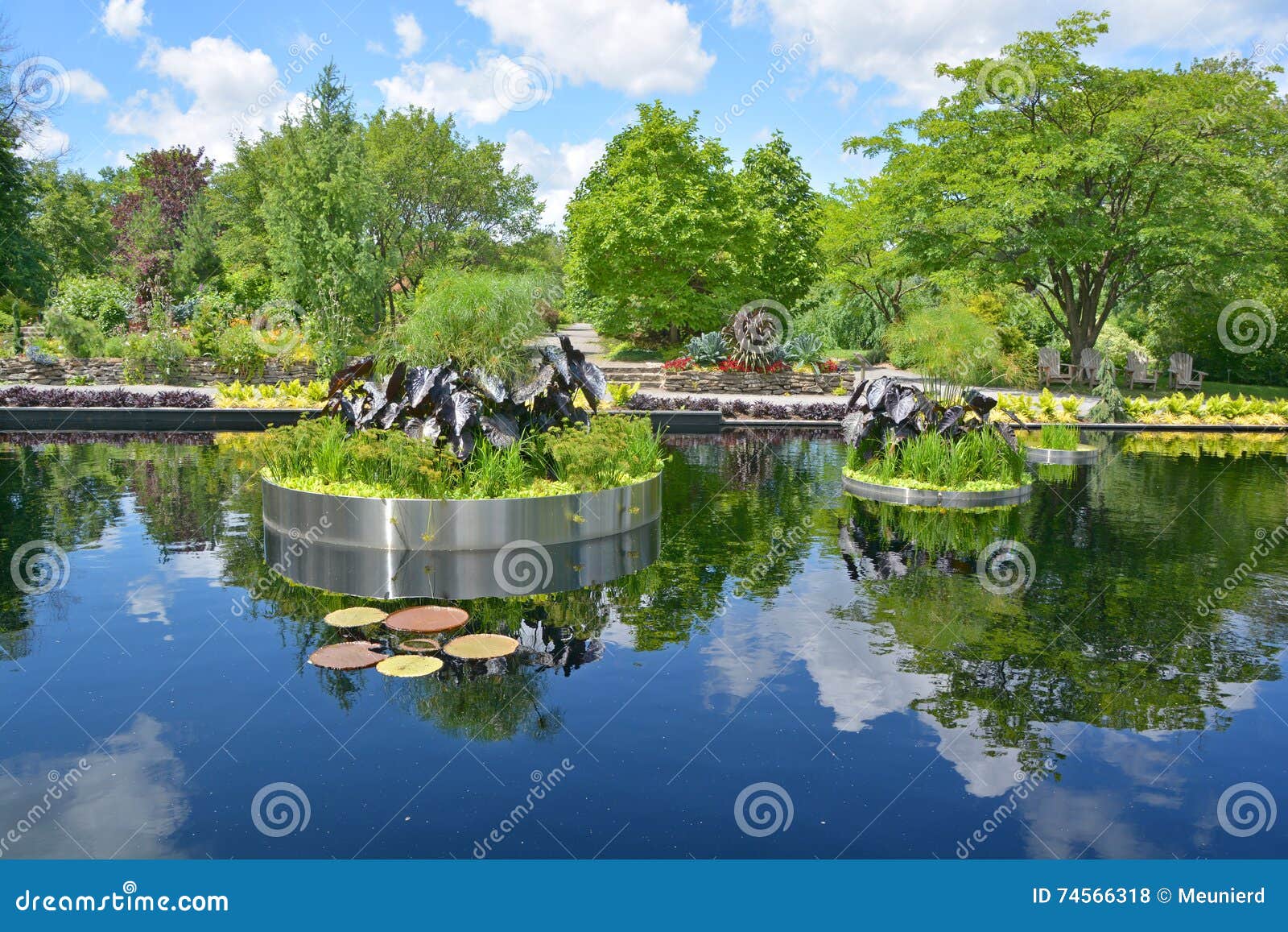 Reflecting pond stock photo. Image of beautiful, japanese - 74566318