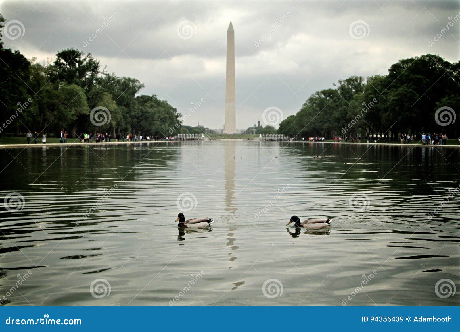 Reflecting Pool stock image. Image of capital, tourism - 94356439