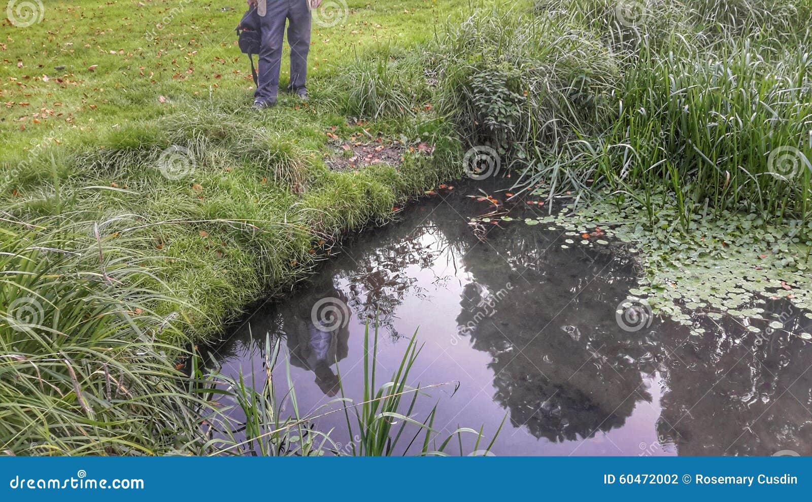 Reflection editorial photography. Image of reflecting - 60472002
