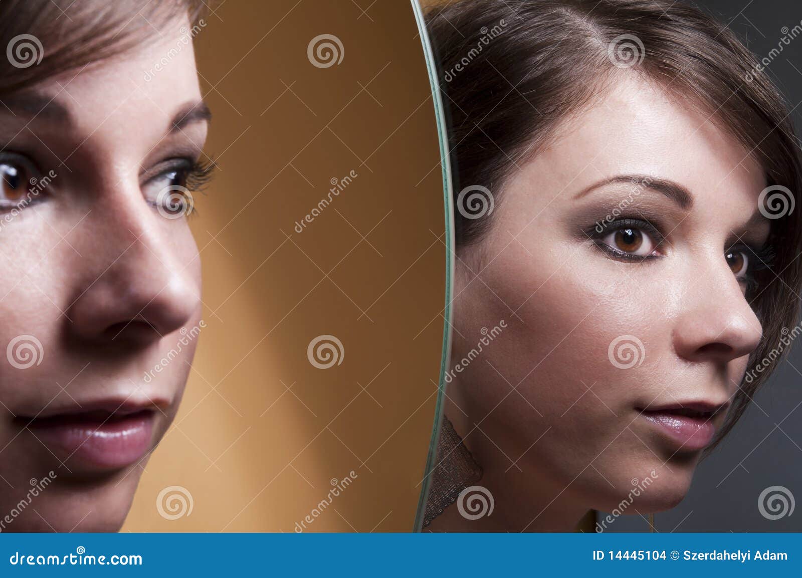Reflection stock photo. Image of adult, female, eyes - 14445104