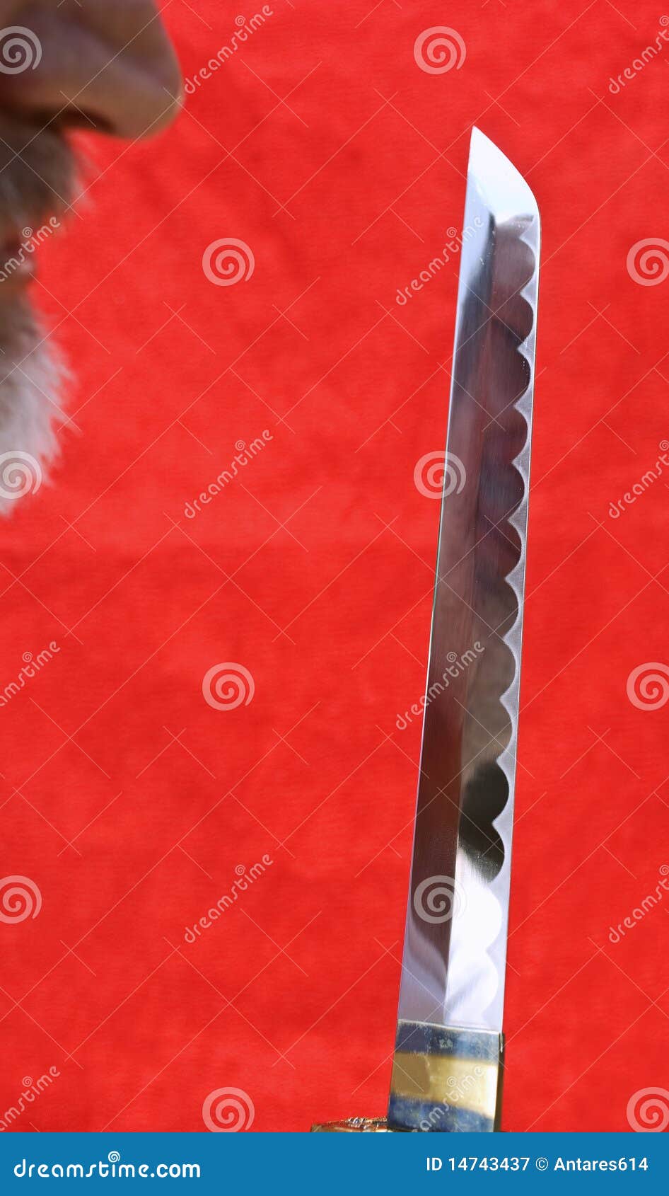 Reflection stock image. Image of fury, scene, martial - 14743437