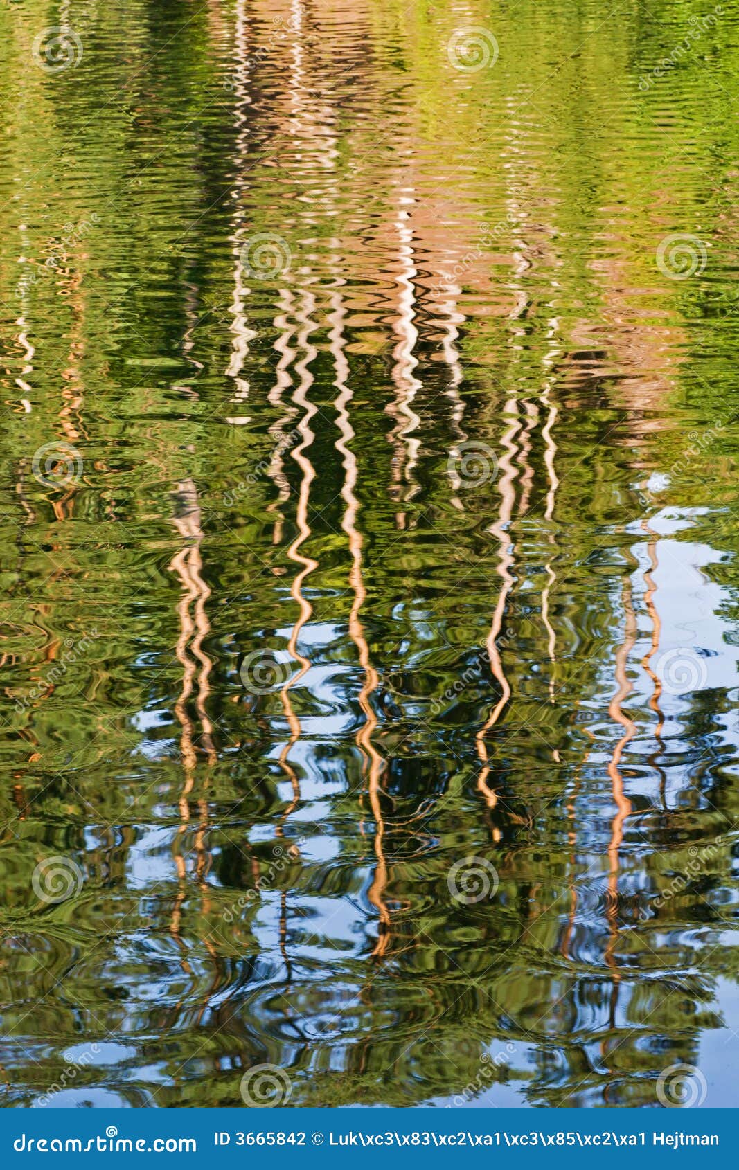 Reflection stock photo. Image of foliage, outdoors, environment - 3665842