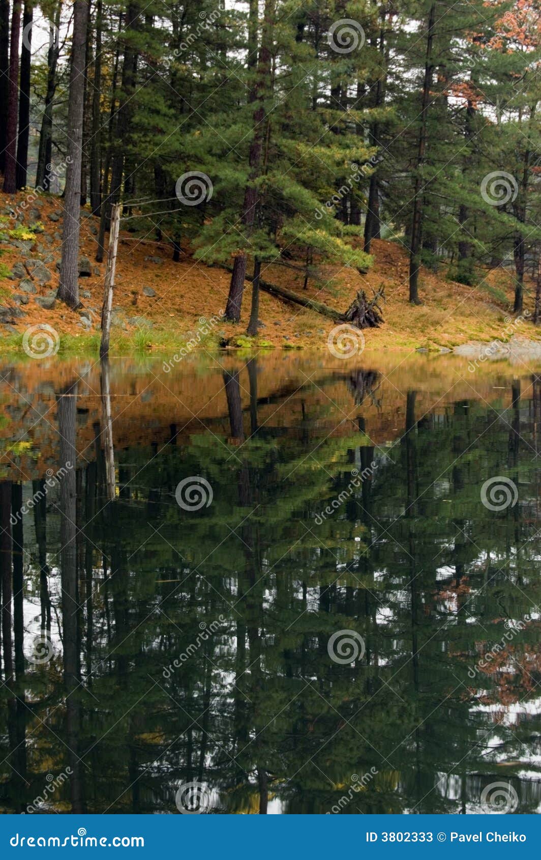 Reflection stock image. Image of park, nature, peaceful - 3802333